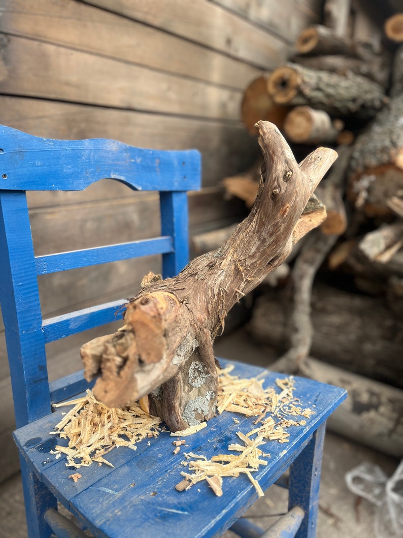 Wooden Sculpture Natural Juniper Tree Piece Decorative - Etsy