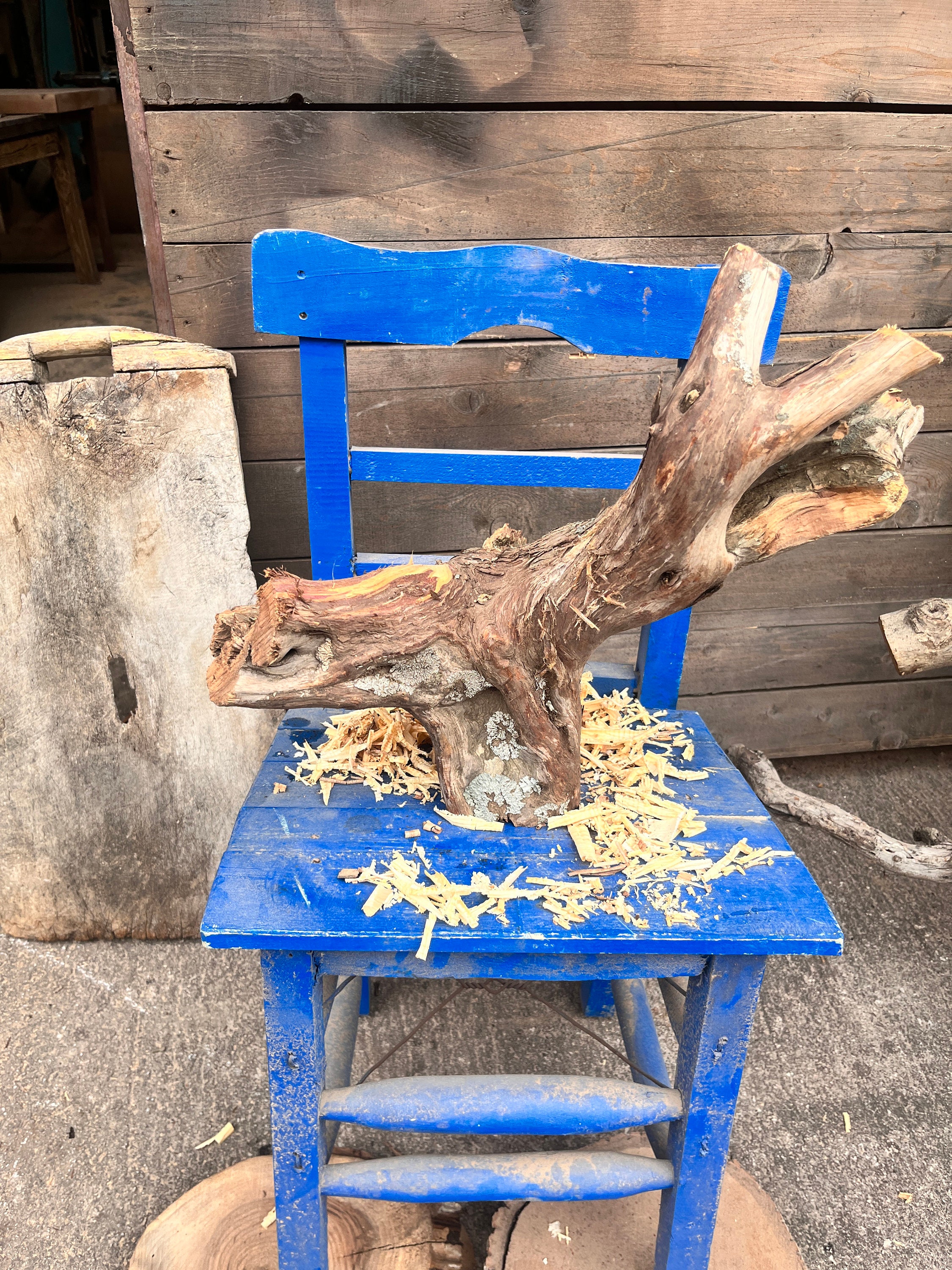 Wooden Sculpture Natural Juniper Tree Piece Decorative - Etsy