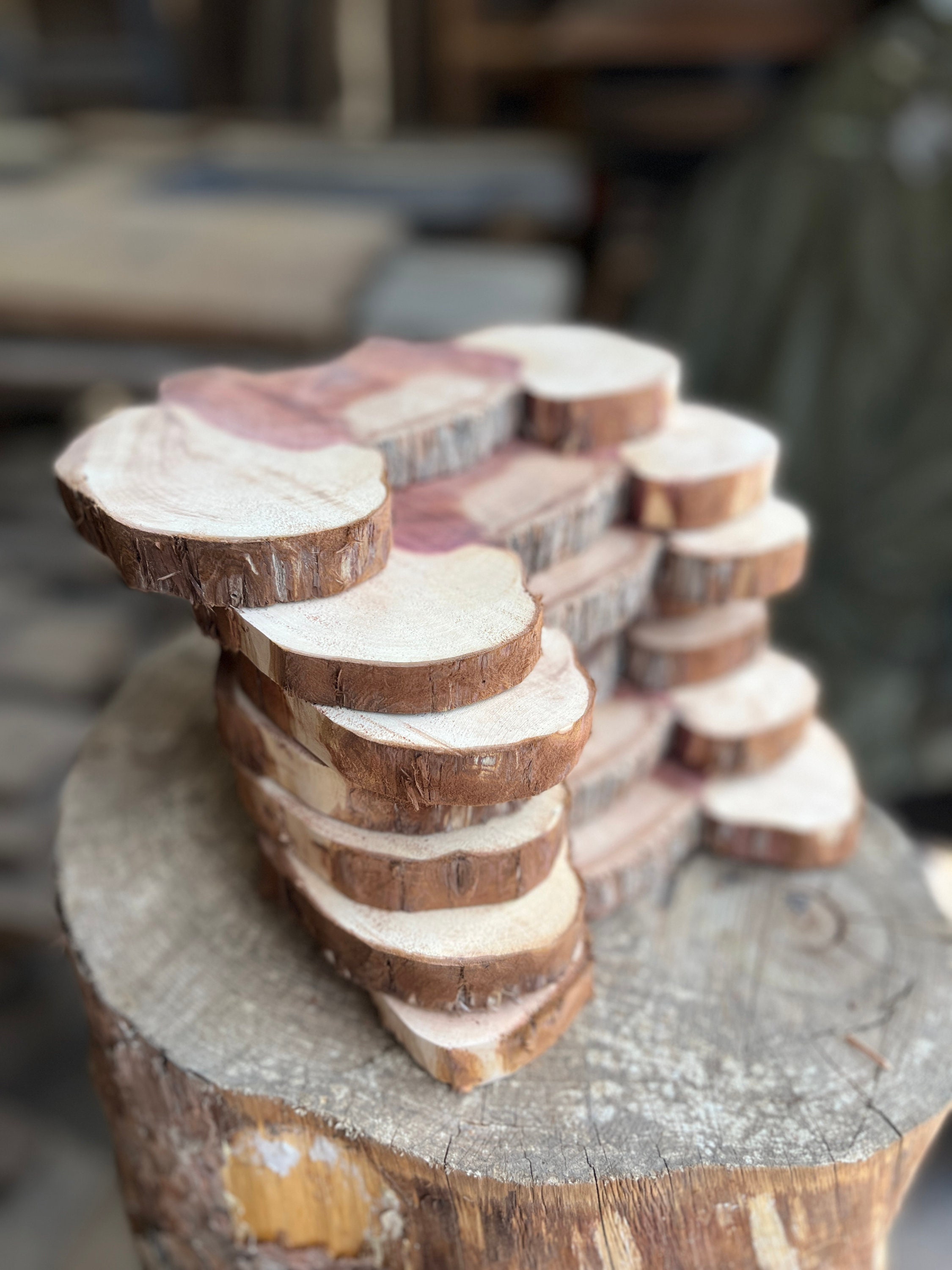 Juniper Slices 7 Pcs Small Wooden Slices Rustic Wood Slices - Etsy