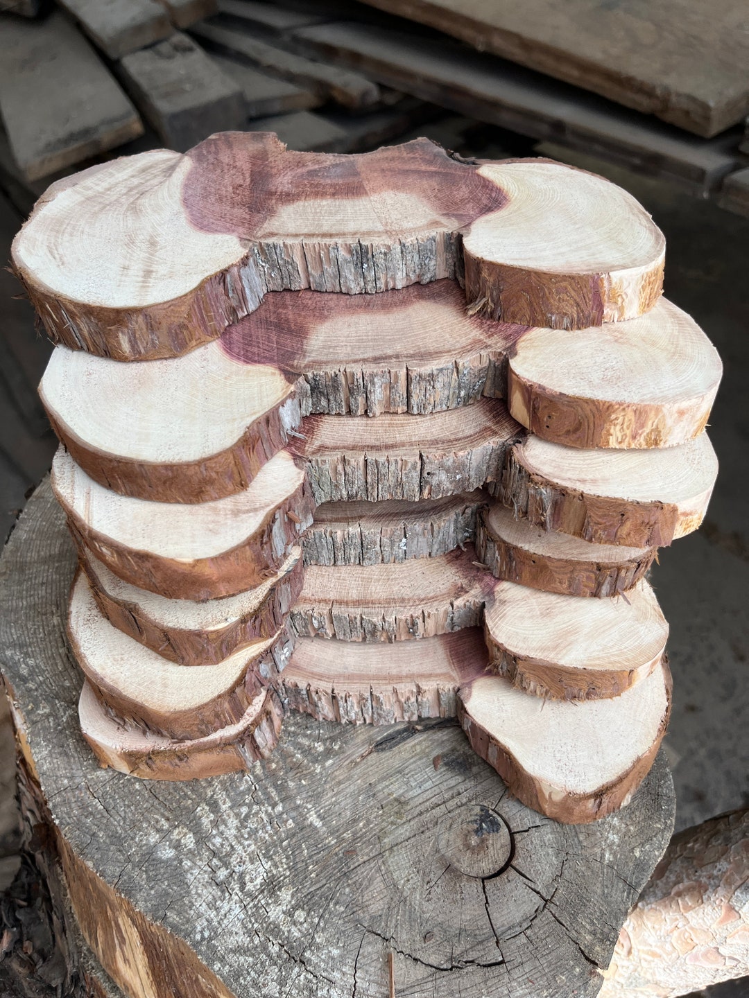 Juniper Slices 7 Pcs Small Wooden Slices Rustic Wood Slices - Etsy
