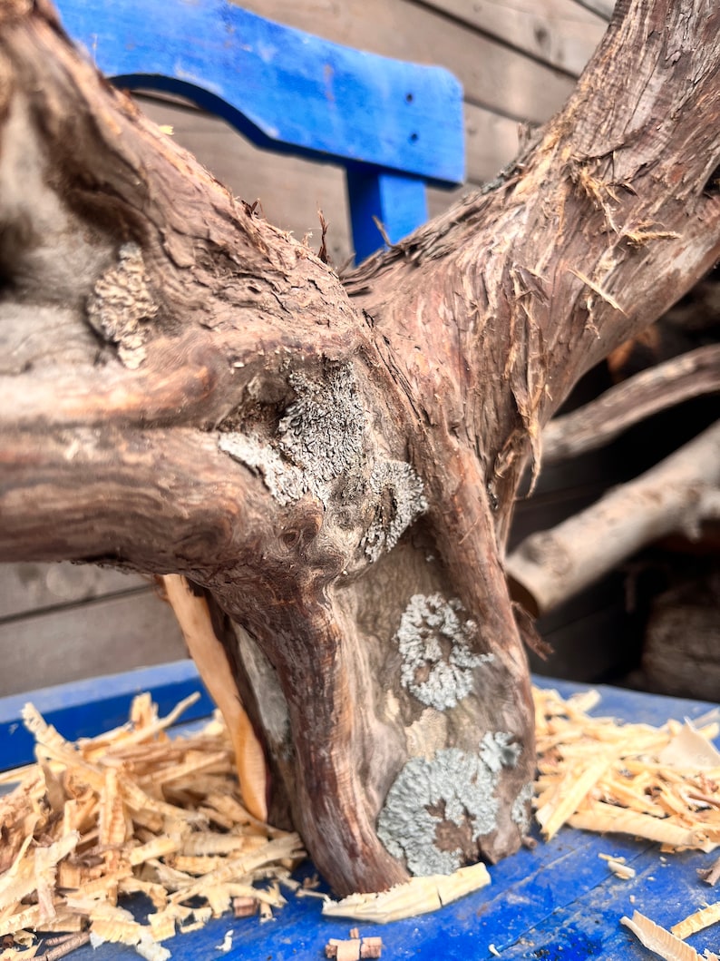 Wooden Sculpture Natural Juniper Tree Piece Decorative - Etsy