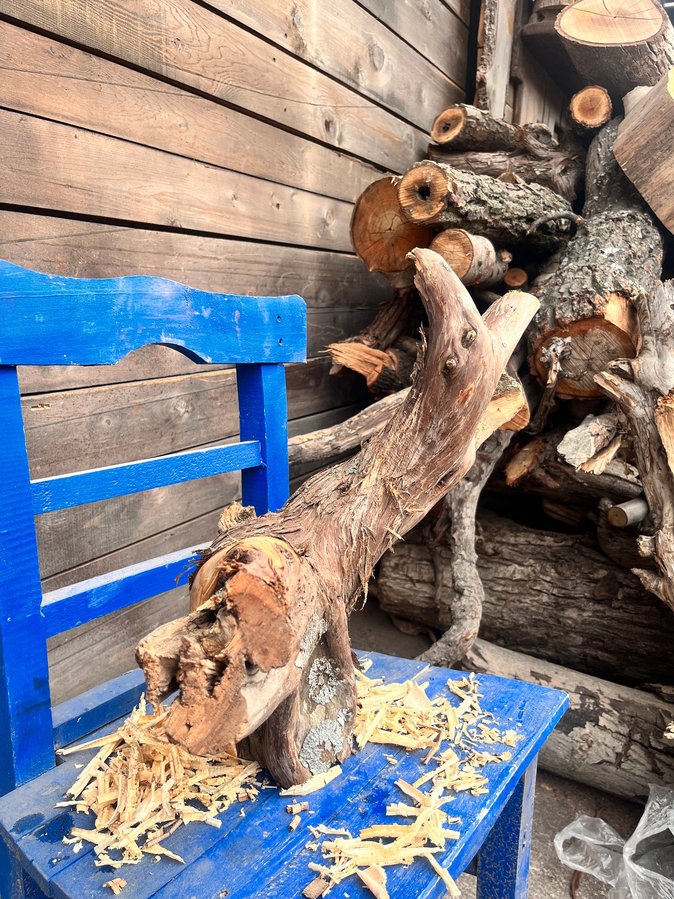 Wooden Sculpture Natural Juniper Tree Piece Decorative - Etsy