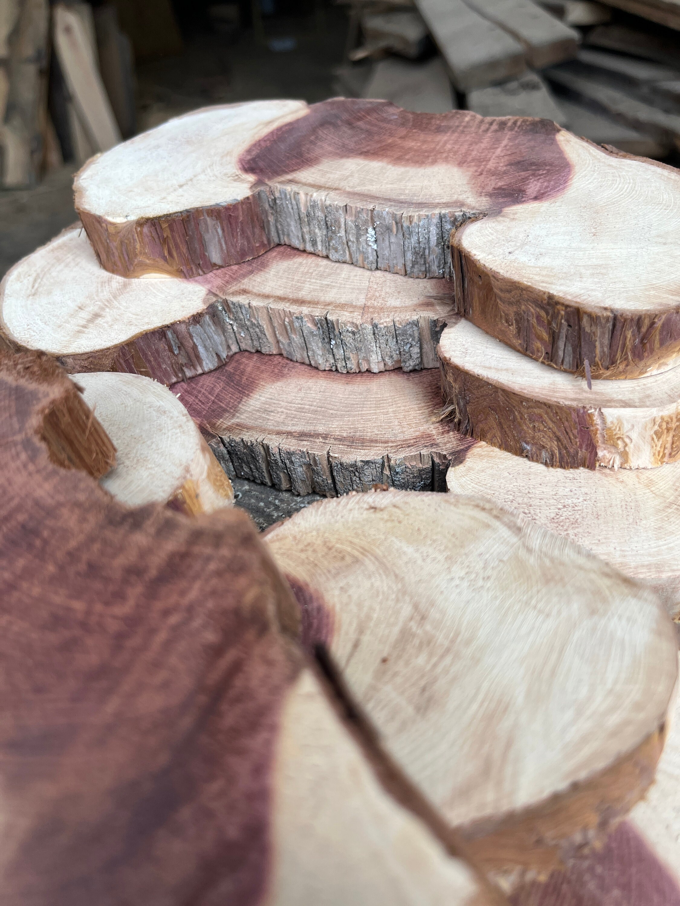 Juniper Slices 7 Pcs Small Wooden Slices Rustic Wood Slices - Etsy