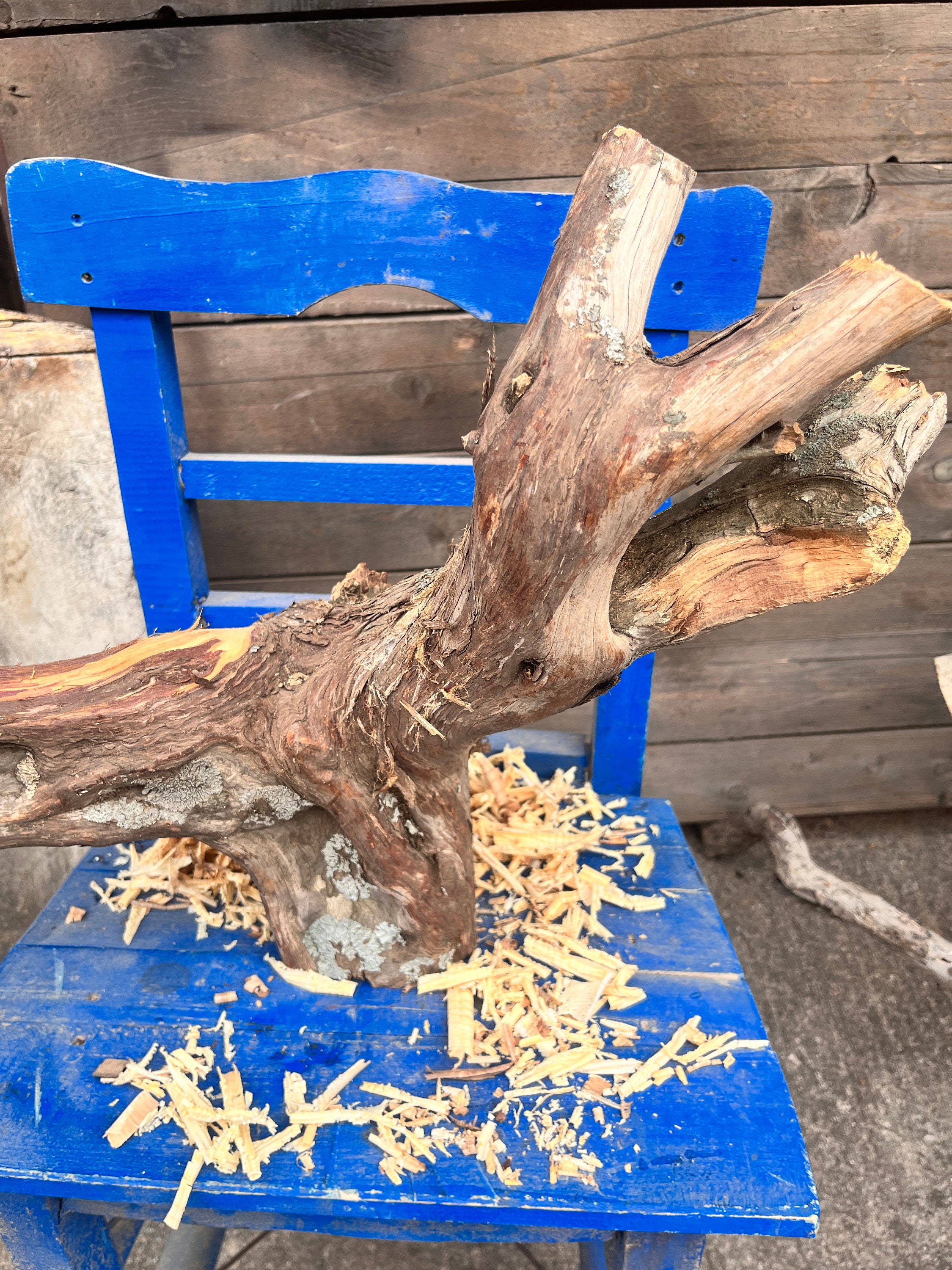 Wooden Sculpture Natural Juniper Tree Piece Decorative - Etsy