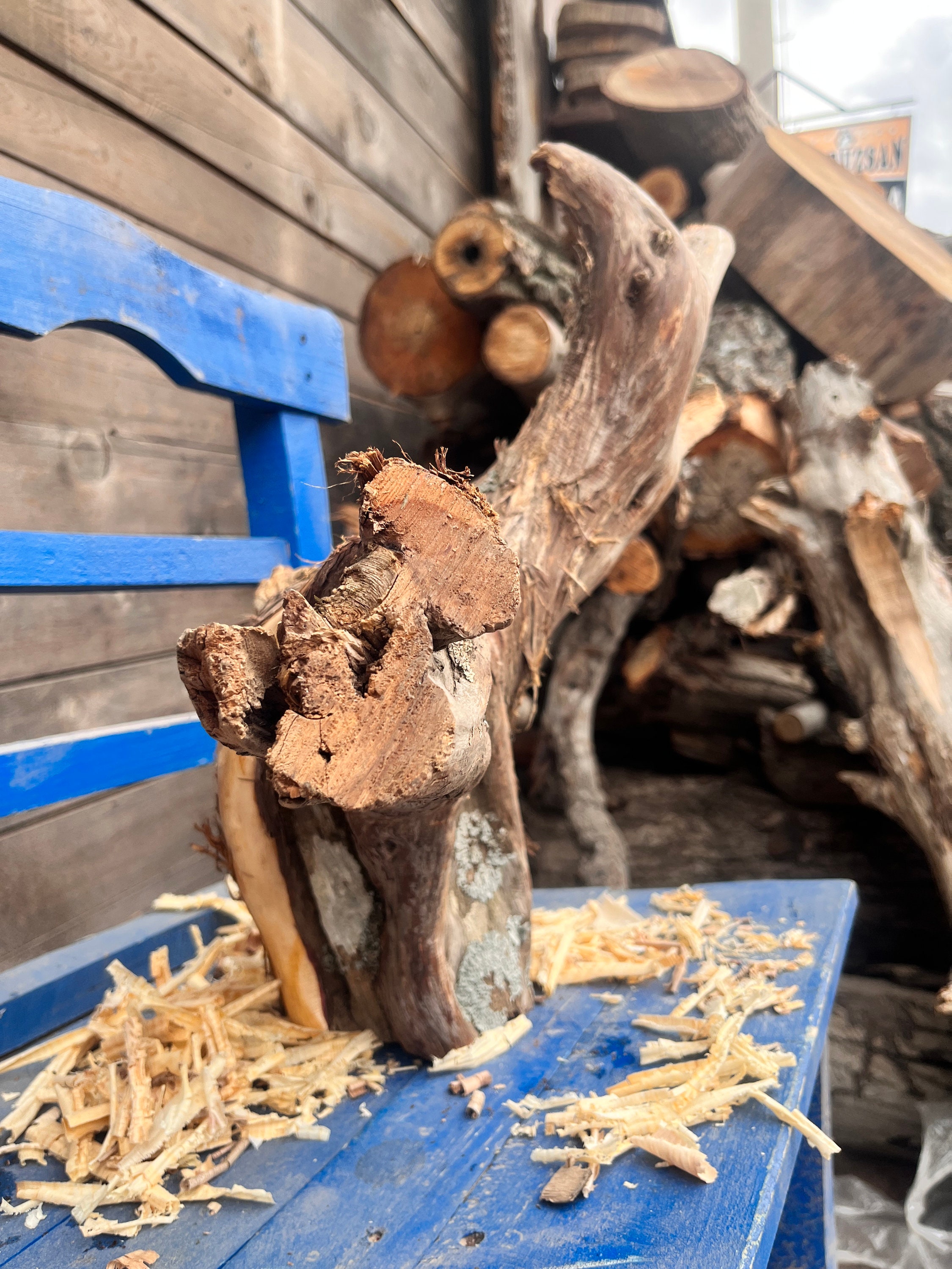 Wooden Sculpture Natural Juniper Tree Piece Decorative - Etsy