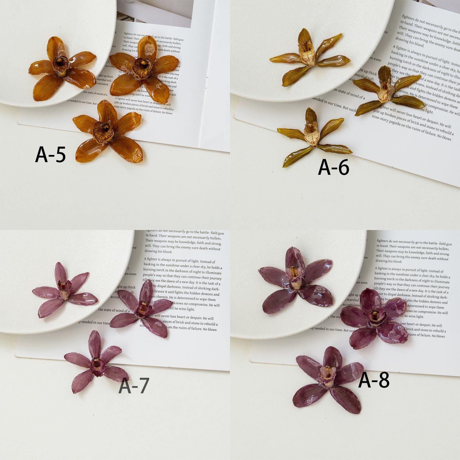 Real Butterfly Orchid Flower Heads for Resin Art, DIY Jewelry Making ...