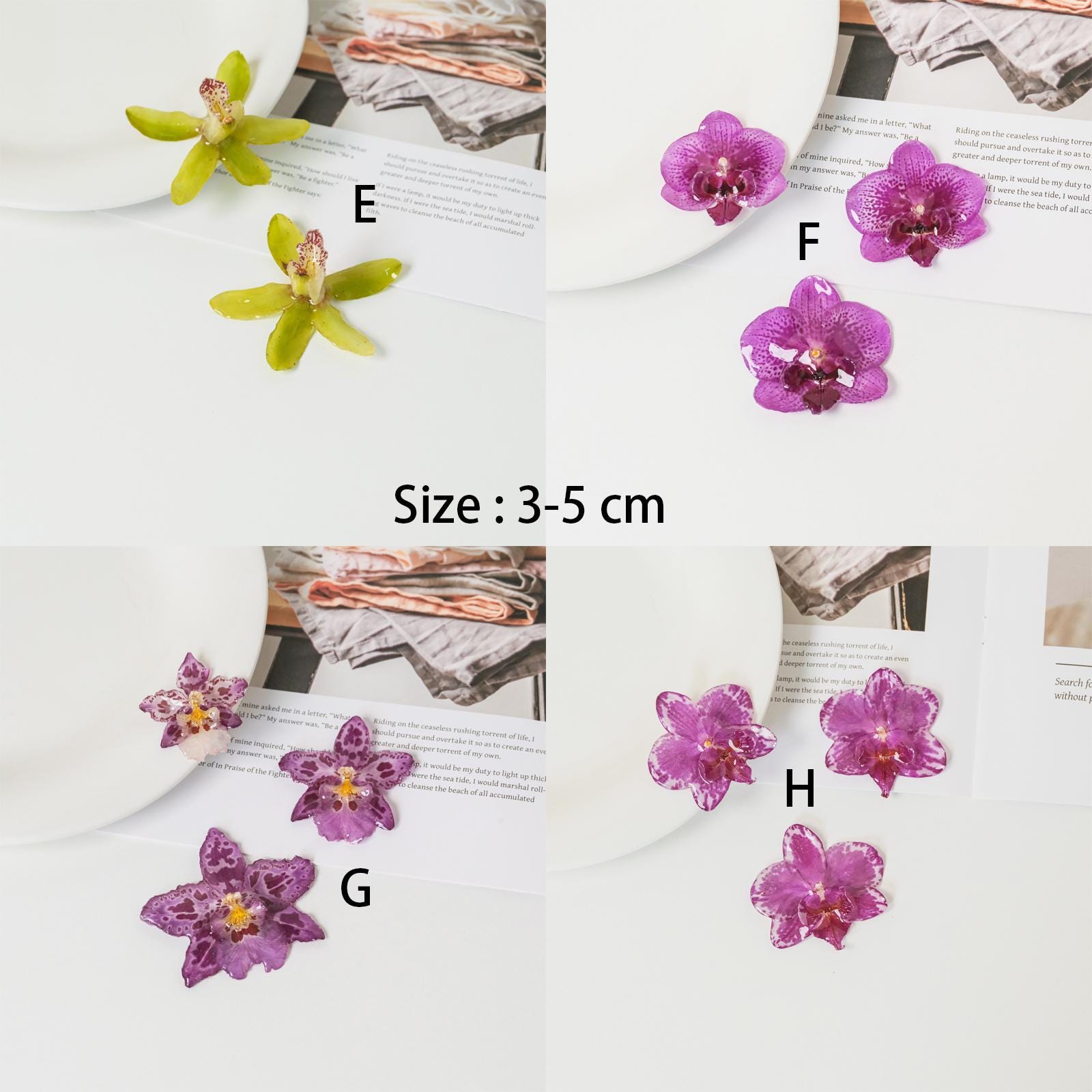 Real Butterfly Orchid Flower Heads for Resin Art, DIY Jewelry Making ...