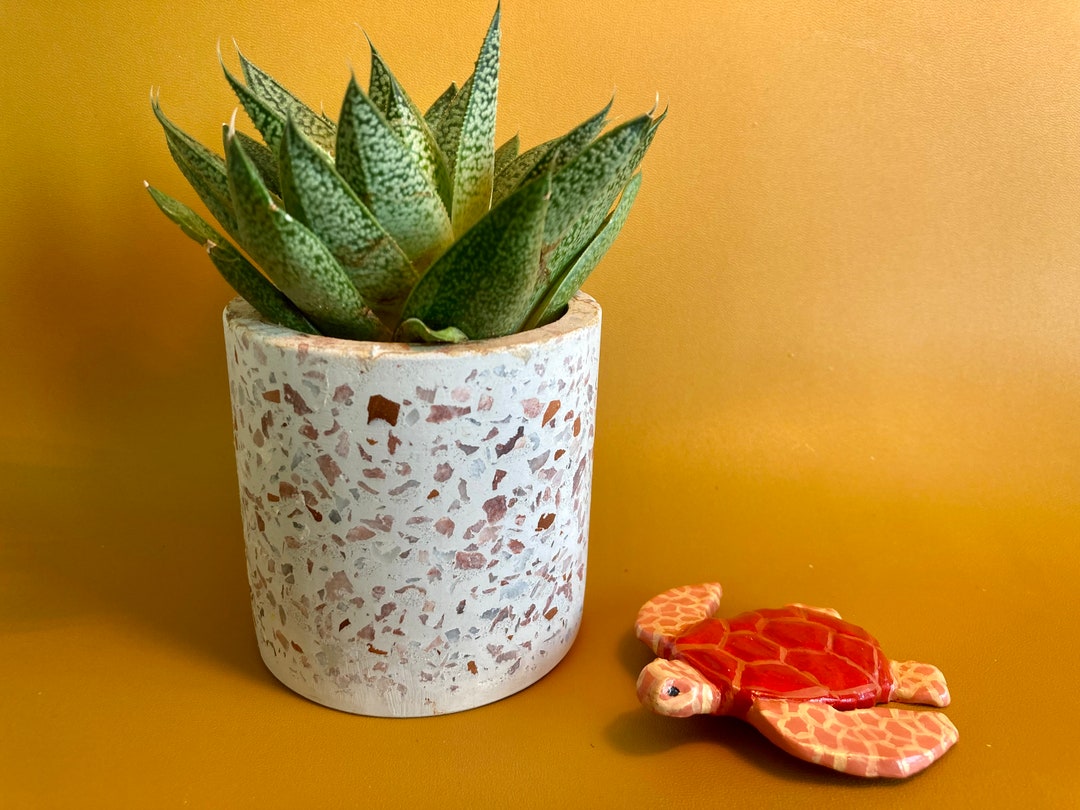 Magnet Red Turtle. Handmade Tortoise Clay Fridge Decor - Etsy