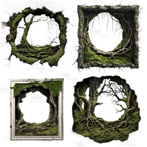 Woodland Border Frames Photo Images PNG Green Forest Overlays for ...