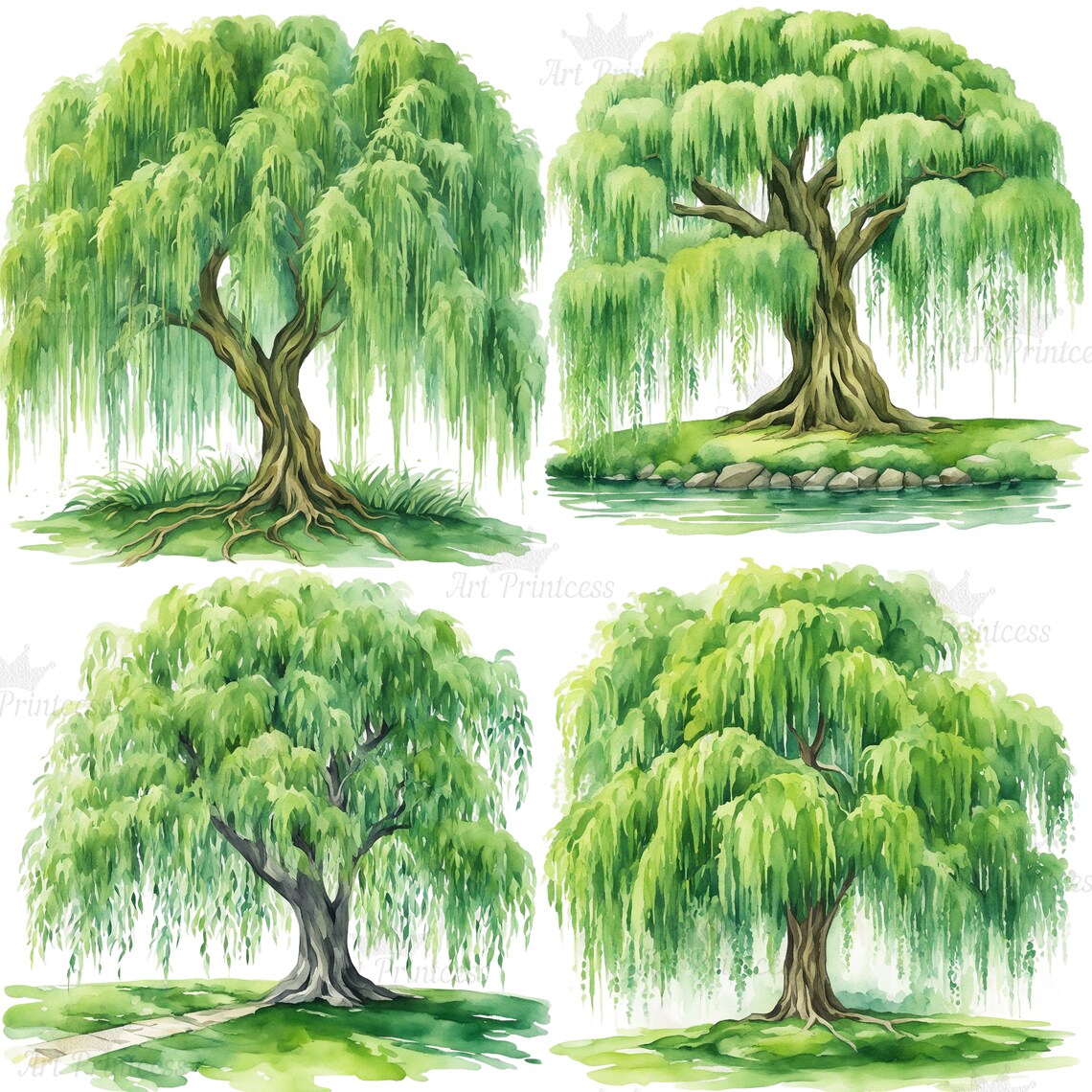Watercolor Weeping Willow Tree Clipart PNG Willow Tree Graphics ...