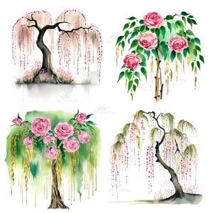 Pink Watercolor Weeping Willow Tree Clipart Transparent Background ...