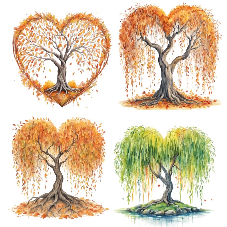 Weeping Willow Tree Heart Shaped Watercolor Clipart PNG Bundle Romantic ...