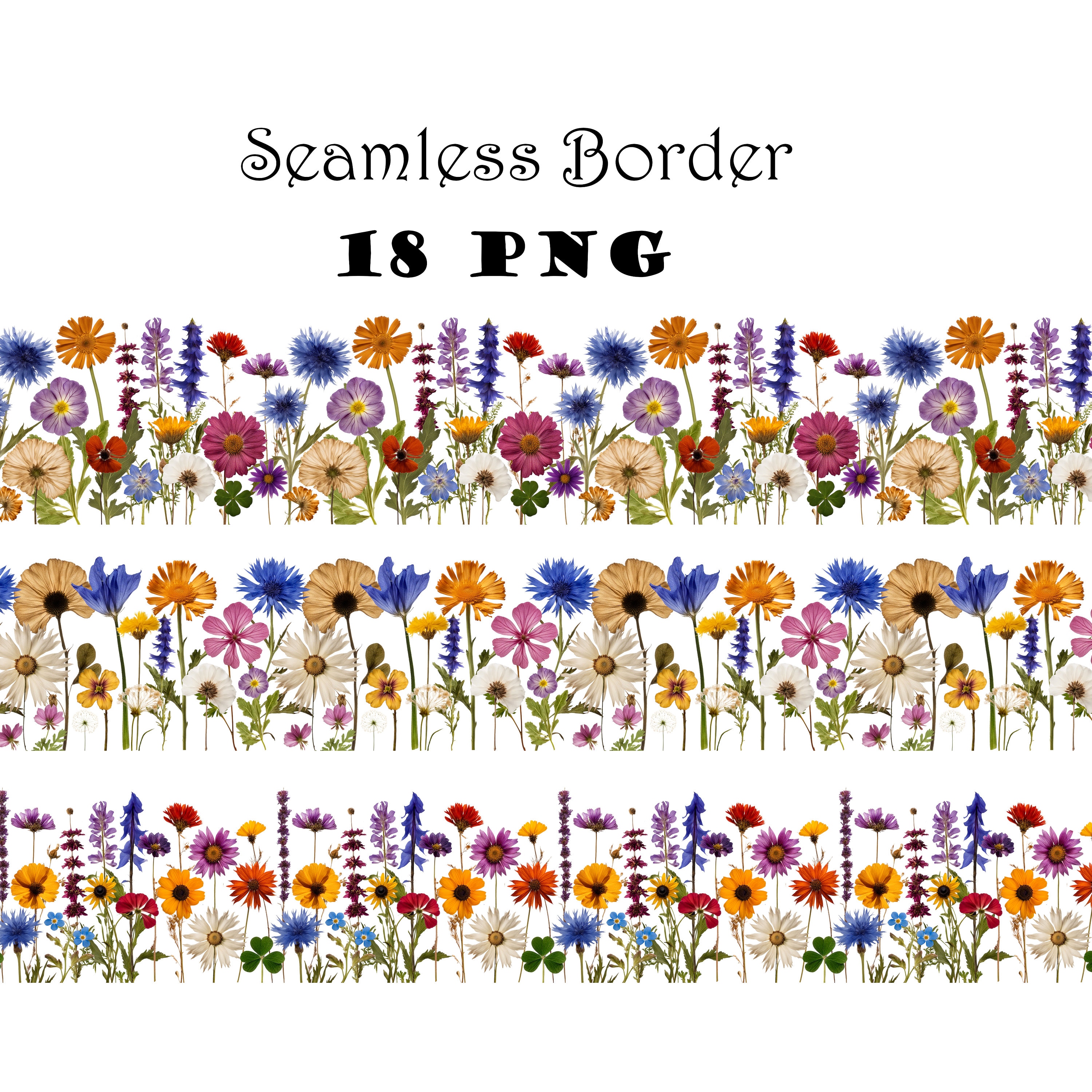 Pressed Wildflowers Border PNG Clipart Digital Clipart Floral ...