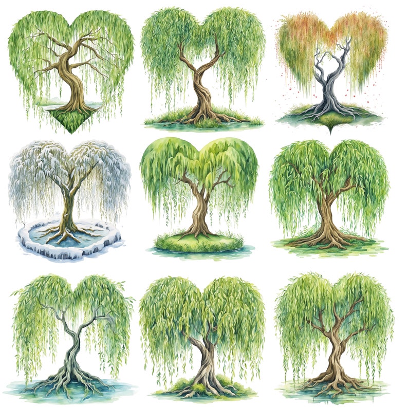 Weeping Willow Tree Heart Shaped Watercolor Clipart PNG Bundle Romantic ...
