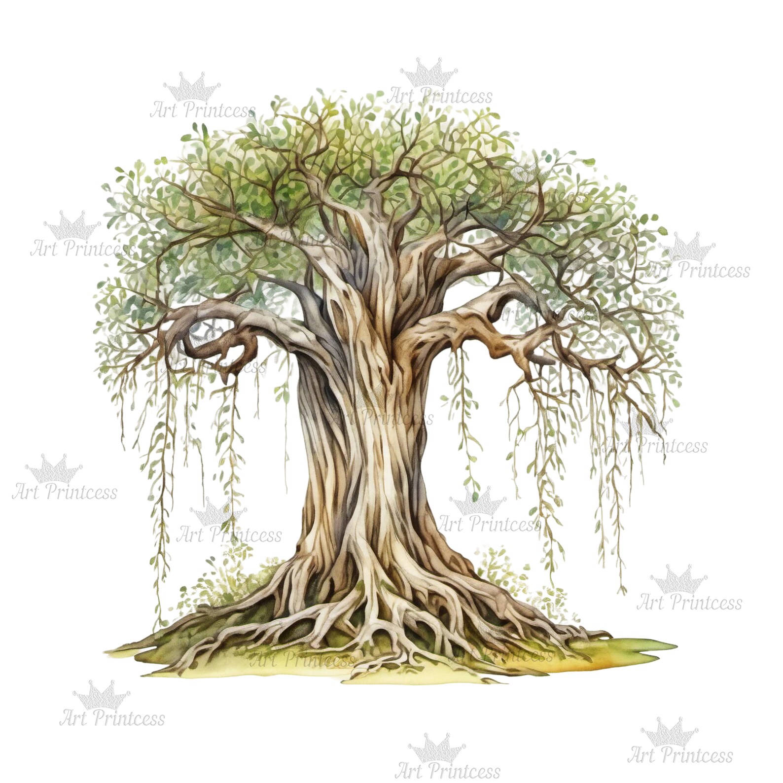 Ancient Watercolor Weeping Willow Tree Clipart PNG Willow Tree Graphics ...