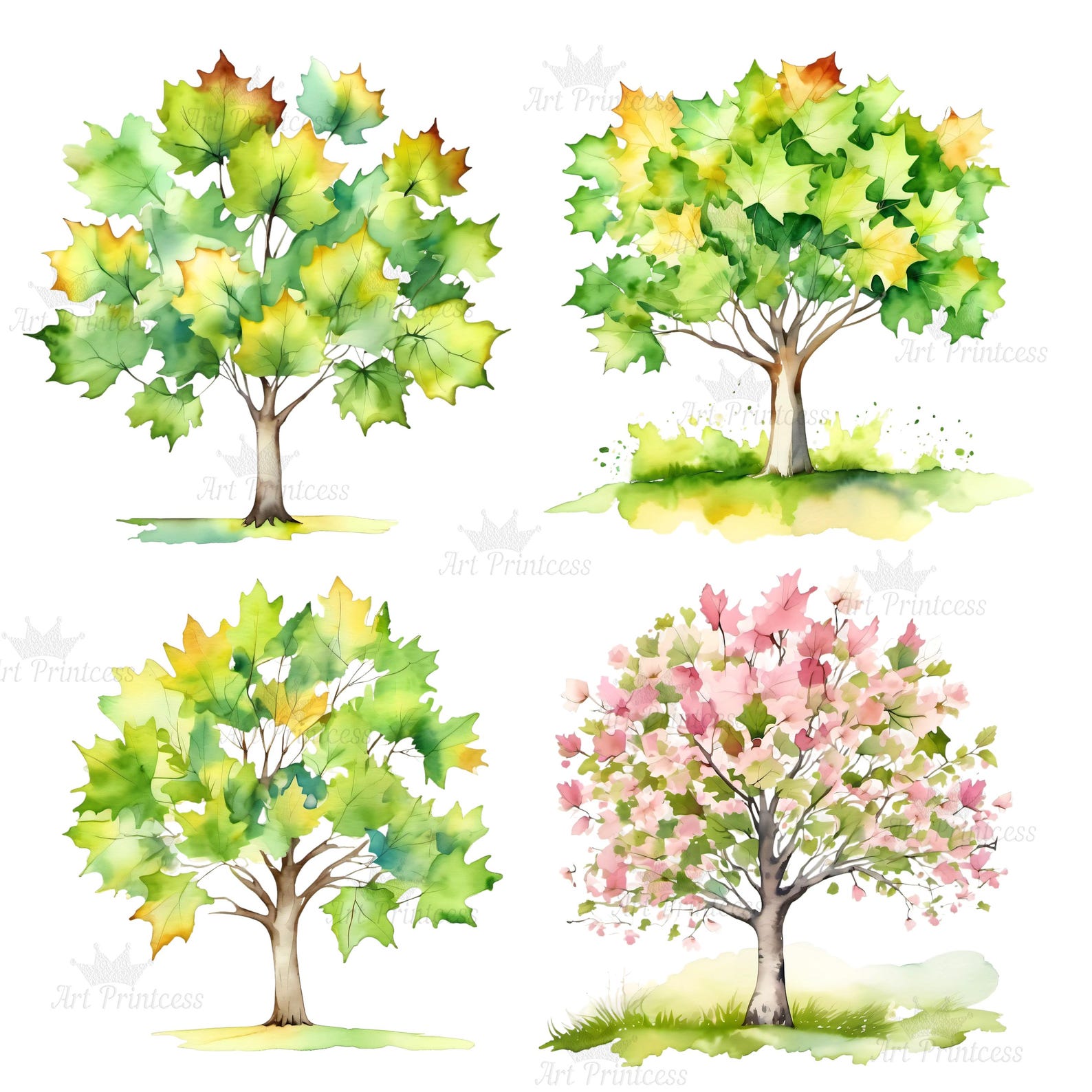 Sycamore Tree Watercolor 4 Seasons Clipart 36 PNG Sycamore Tree ...