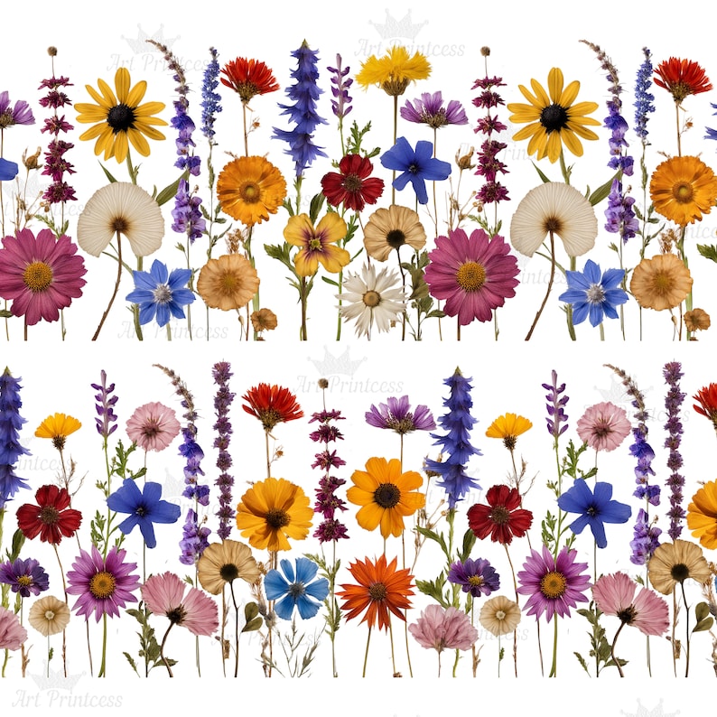 Pressed Wildflowers Border PNG Clipart Digital Clipart Floral ...