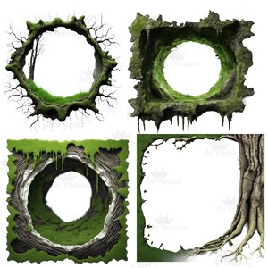 Woodland Border Frames Photo Images PNG Green Forest Overlays for ...