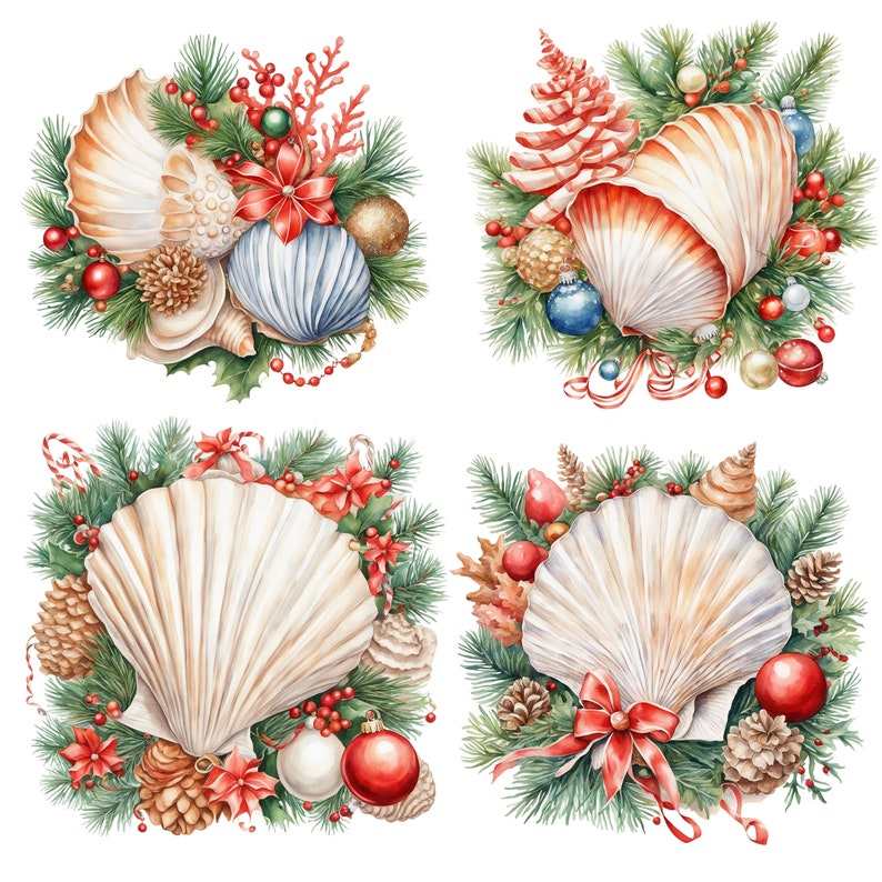 Coastal Christmas Seashells 35 Clipart PNG Watercolor Tropical Beach ...