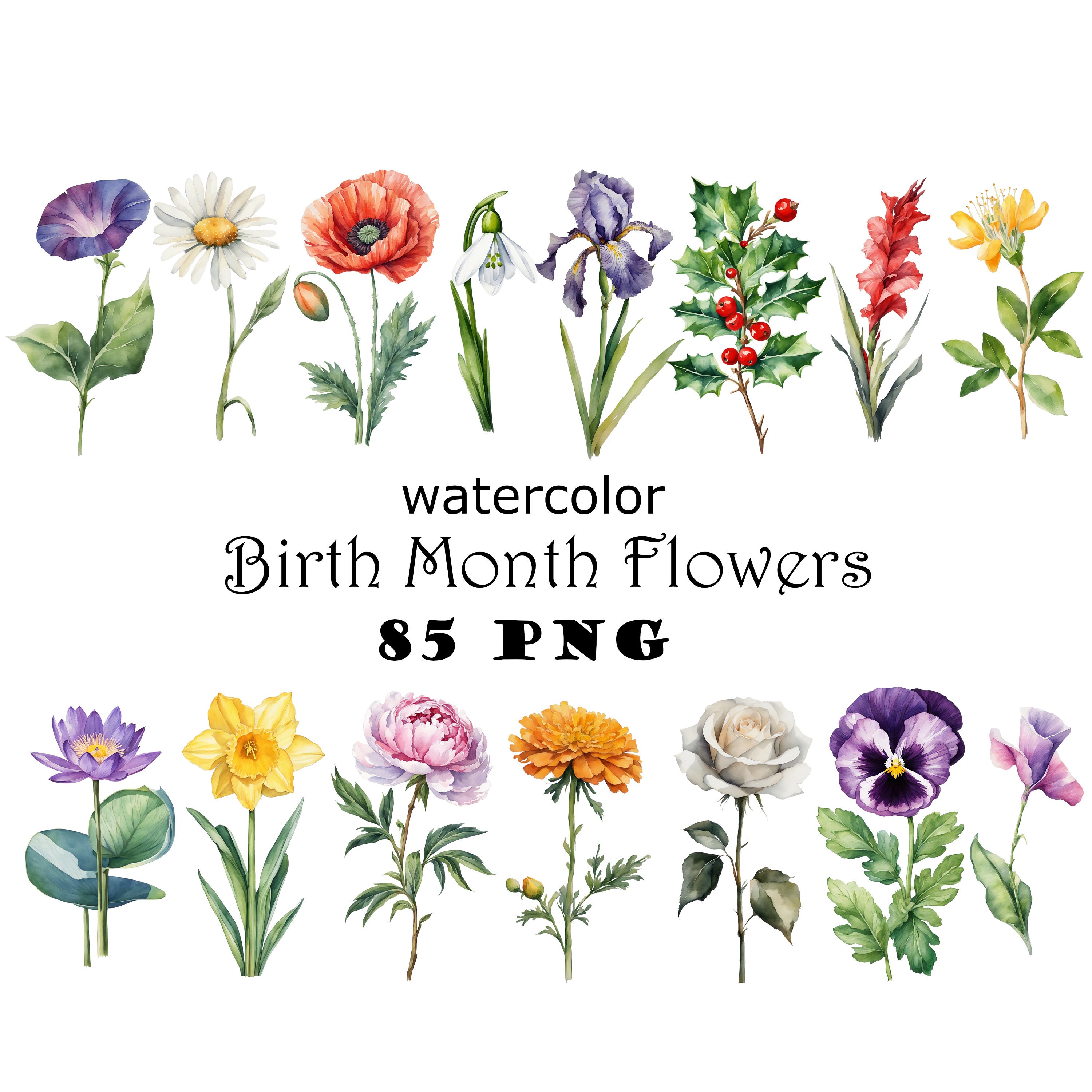 Watercolor Birth Month Flowers Clipart PNG Digital Bundle Classic ...