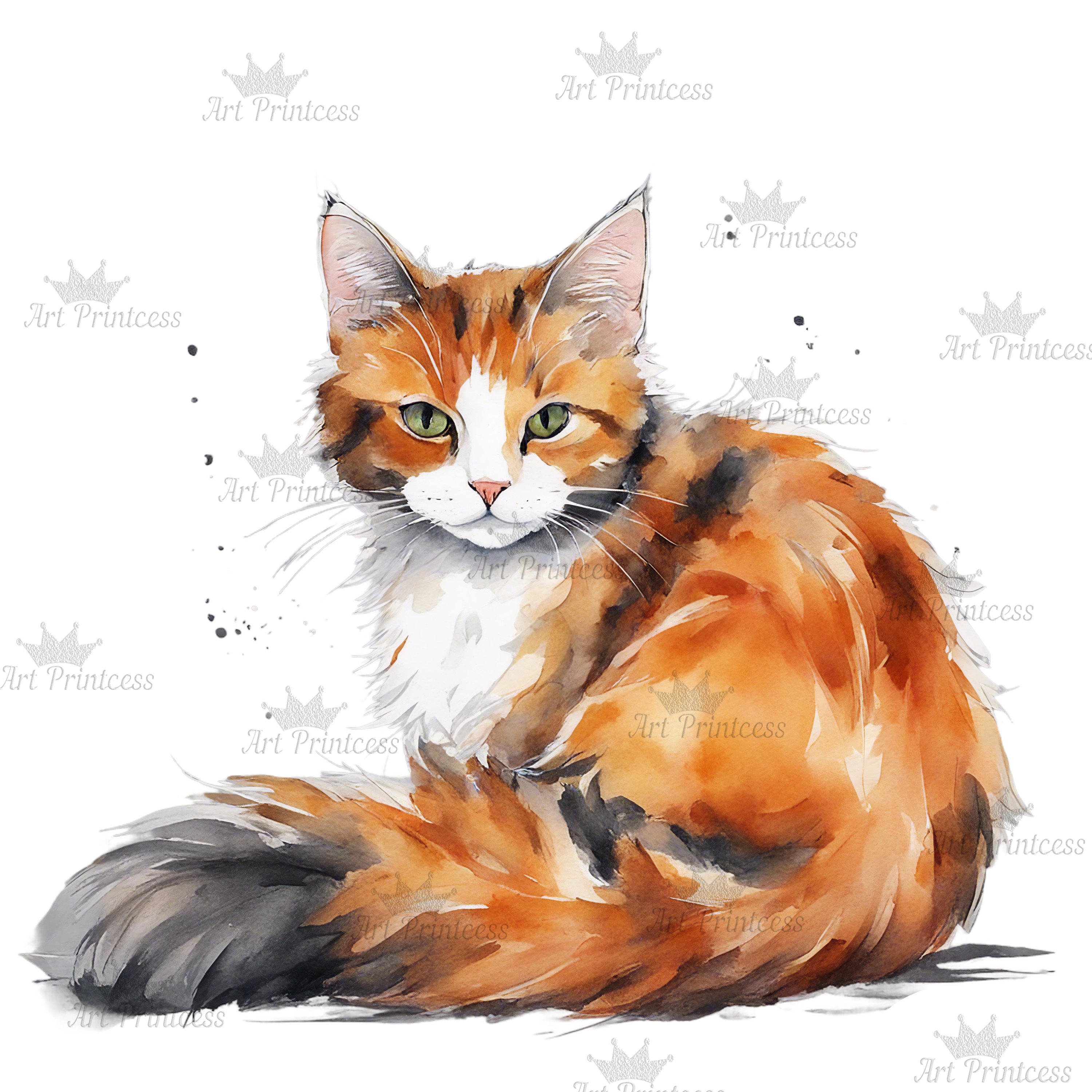 Calico Cat Watercolor Clipart PNG Bundle Cute Baby Cat Clipart Calico ...