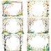 Watercolor Birch Tree Border Frames Clipart Birch Tree Borders ...