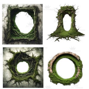 Woodland Border Frames Photo Images PNG Green Forest Overlays for ...