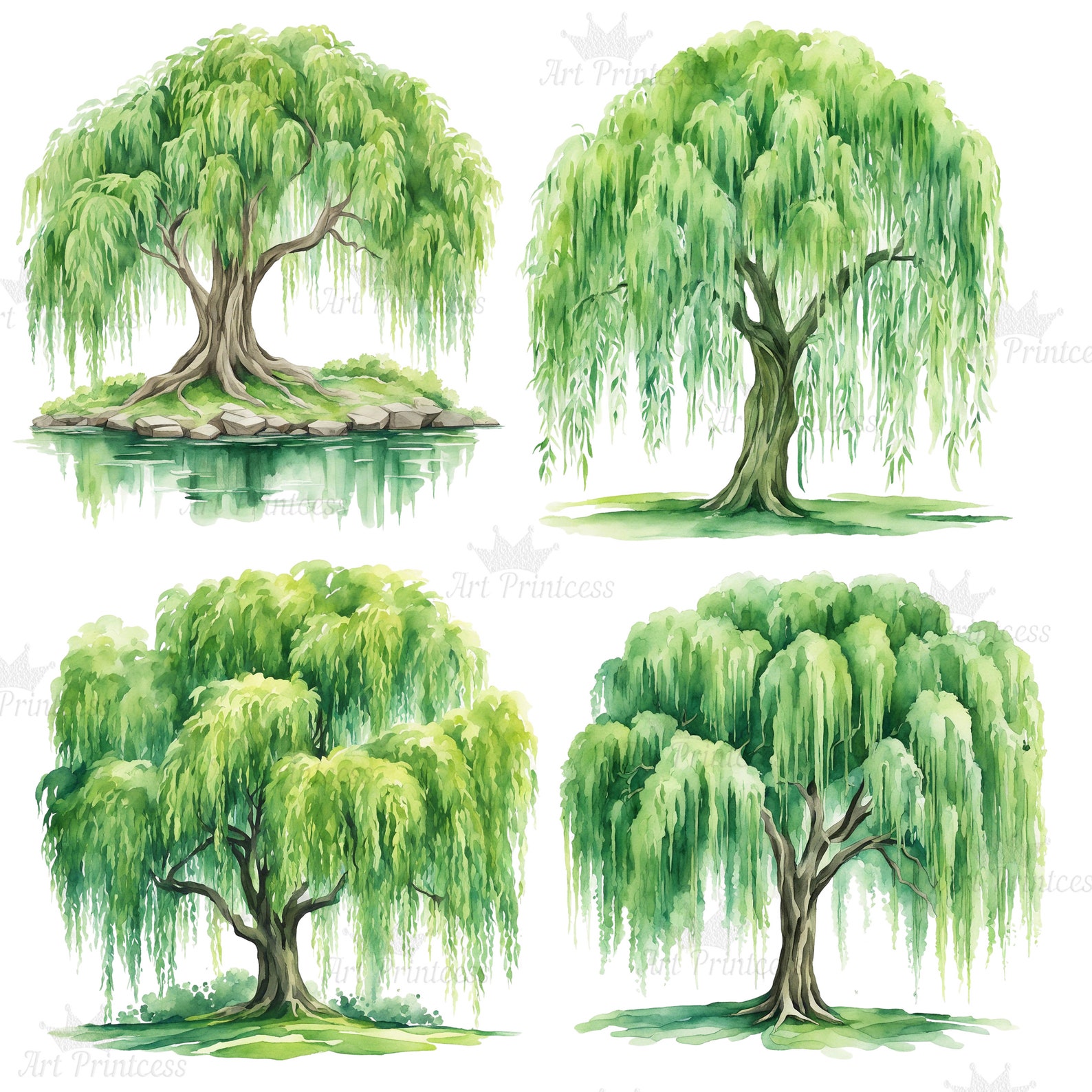 Watercolor Weeping Willow Tree Clipart PNG Willow Tree Graphics ...