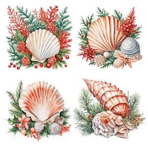 Coastal Christmas Seashells 35 Clipart PNG Watercolor Tropical Beach ...