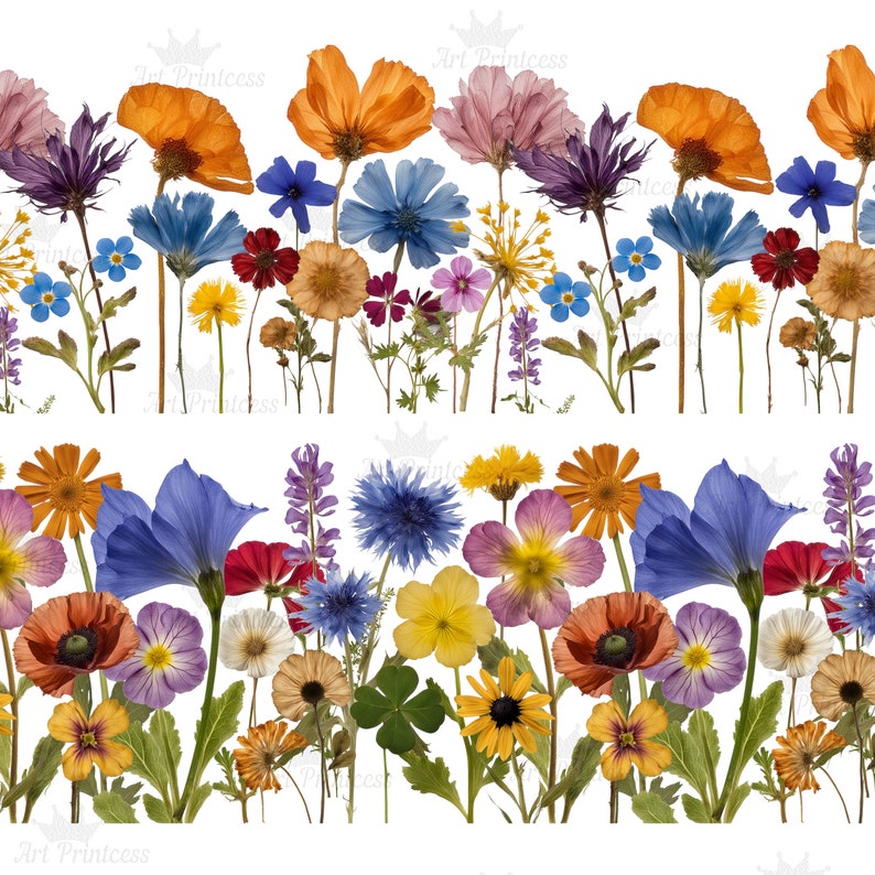 Pressed Wildflowers Border PNG Clipart Digital Clipart Floral ...