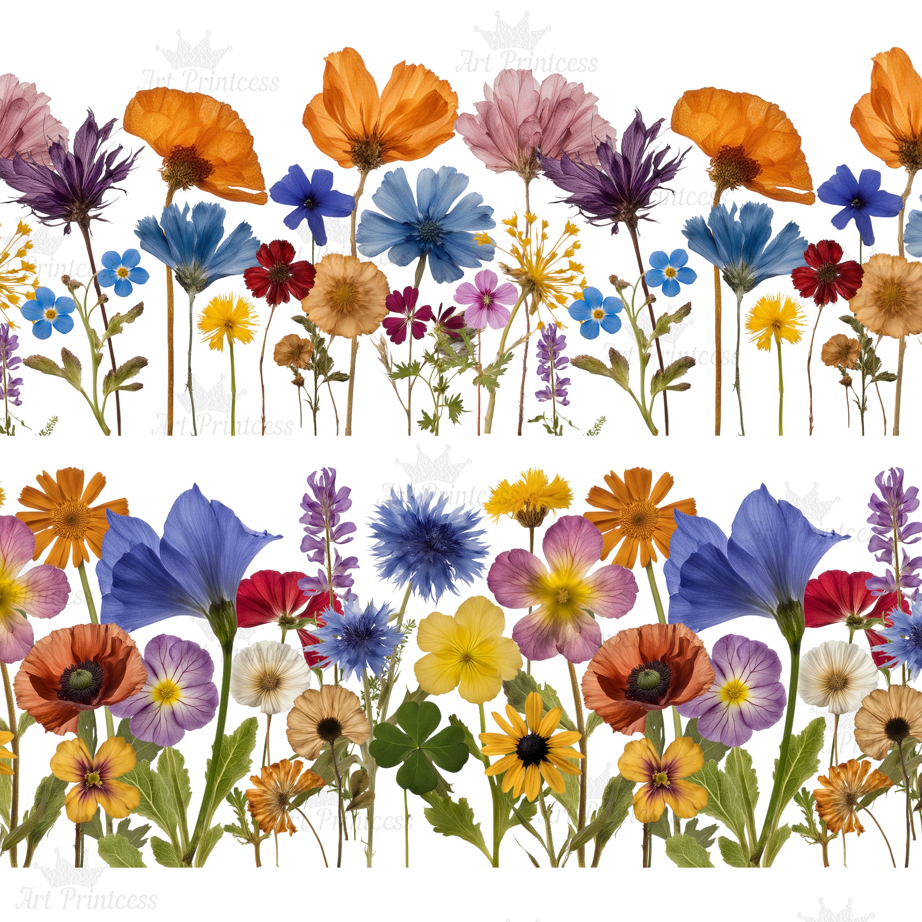 Pressed Wildflowers Border PNG Clipart Digital Clipart Floral ...