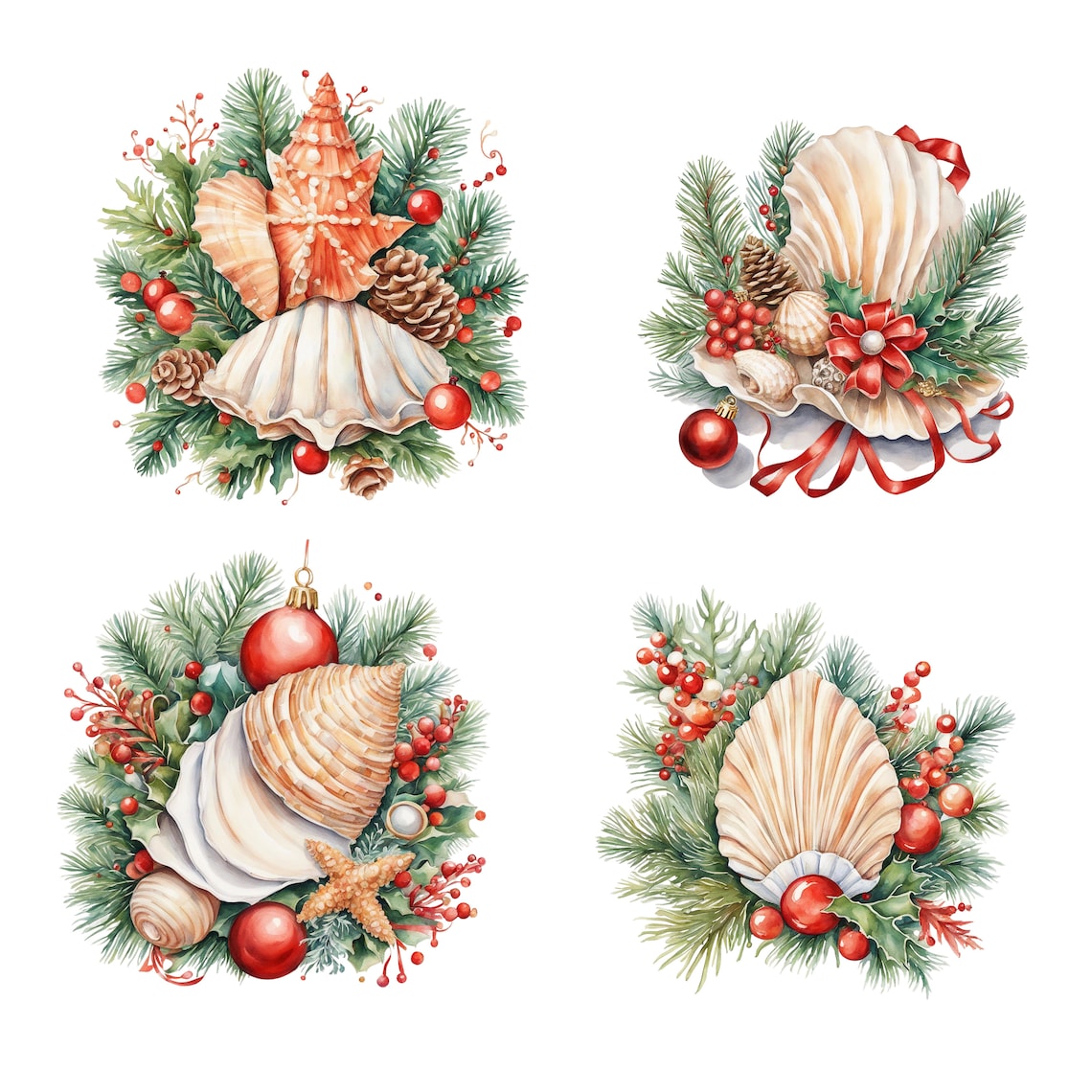 Coastal Christmas Seashells 35 Clipart PNG Watercolor Tropical Beach ...