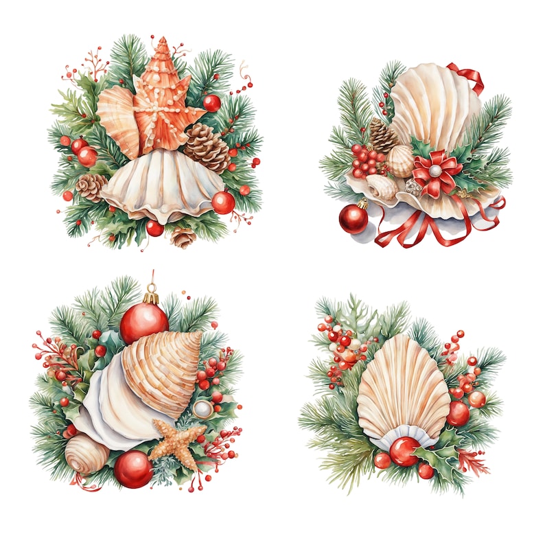Coastal Christmas Seashells 35 Clipart PNG Watercolor Tropical Beach ...