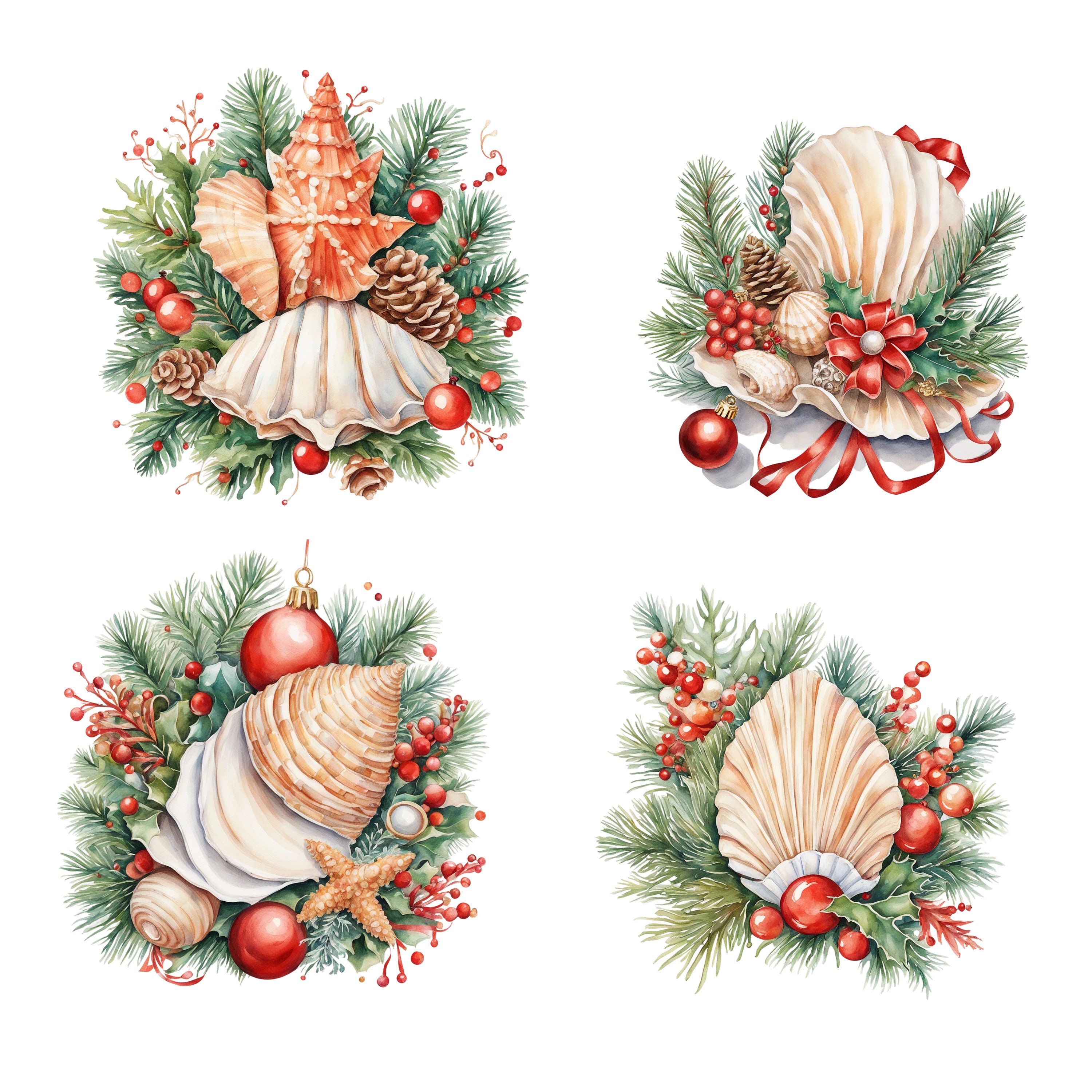 Coastal Christmas Seashells 35 Clipart PNG Watercolor Tropical Beach ...