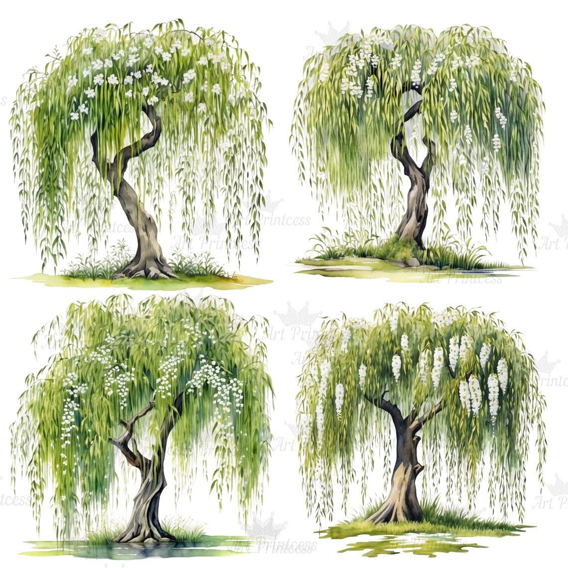 Colorful Weeping Willow Tree Clipart Bundle PNG Willow Anniversary ...