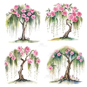 Pink Watercolor Weeping Willow Tree Clipart Transparent Background ...