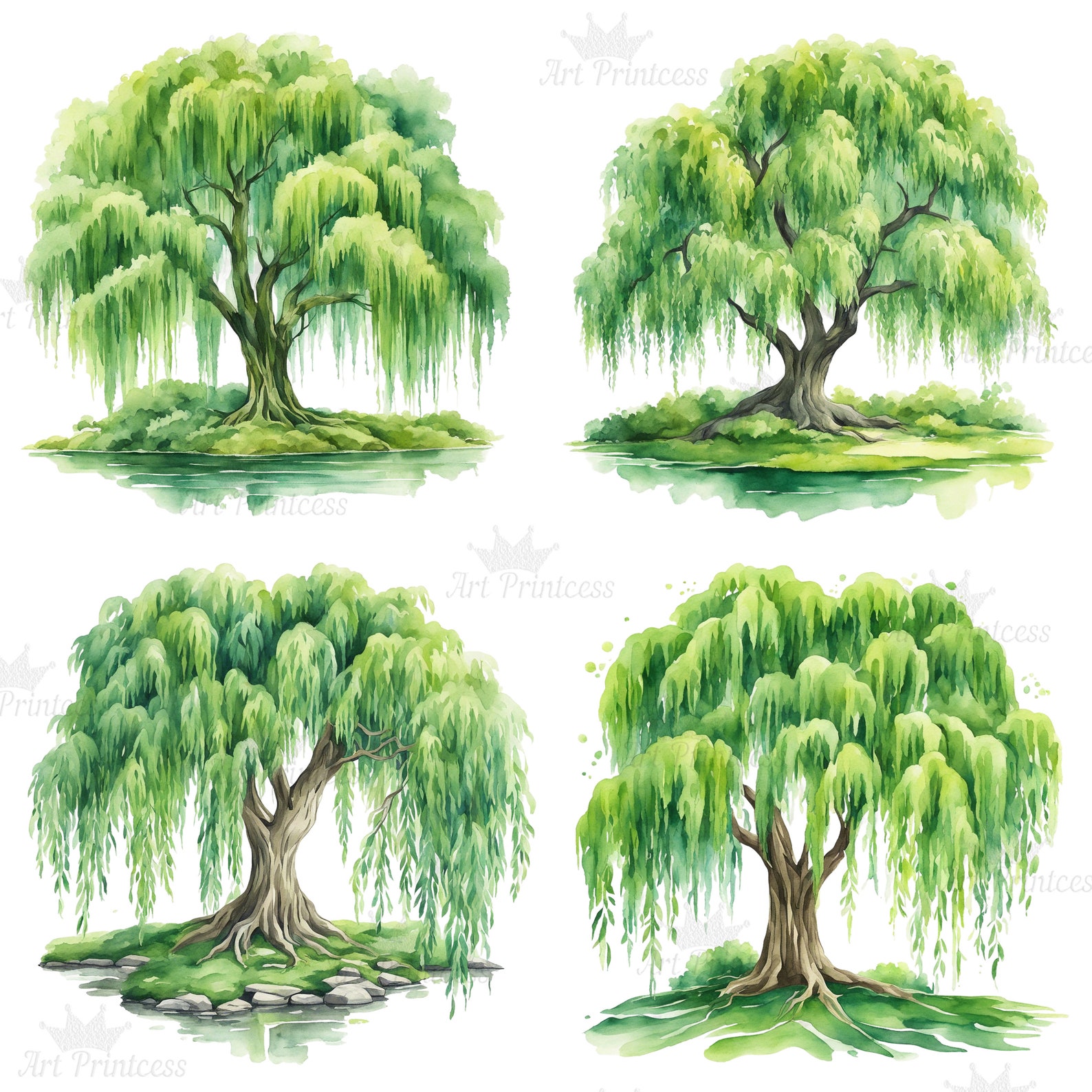 Watercolor Weeping Willow Tree Clipart PNG Willow Tree Graphics ...