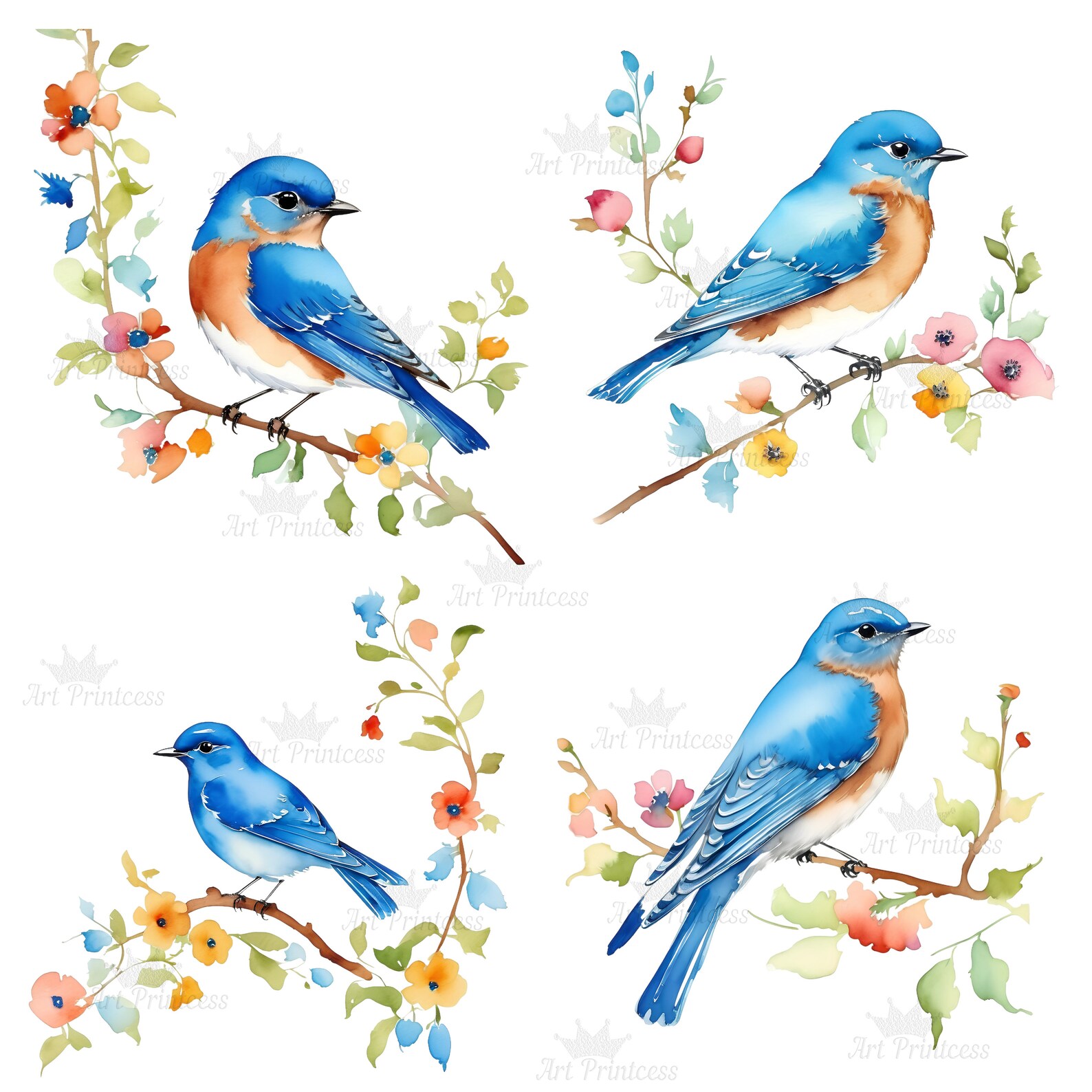 Bluebird Watercolor Gouache Clipart 40 PNG Digital Download Bundle Free ...