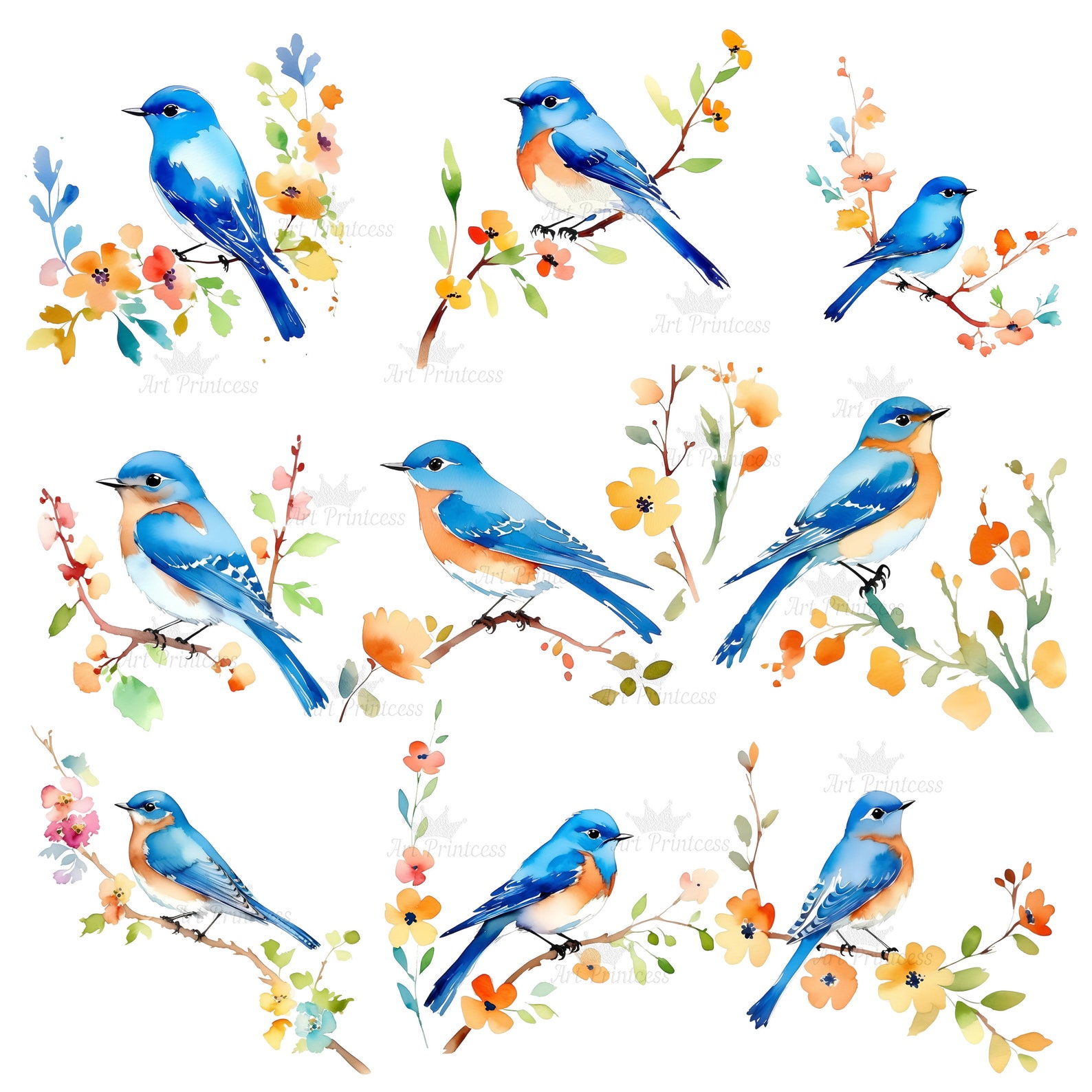 Bluebird Watercolor Gouache Clipart 40 PNG Digital Download Bundle Free ...