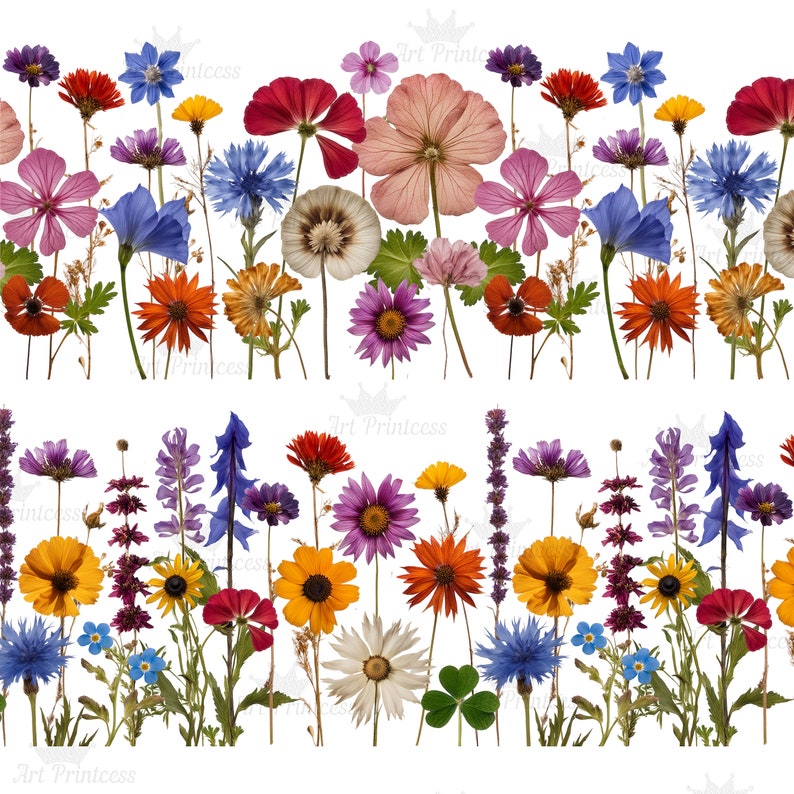 Pressed Wildflowers Border PNG Clipart Digital Clipart Floral ...