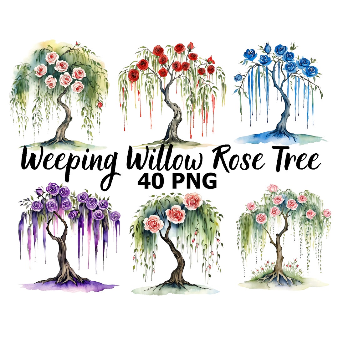 Colorful Weeping Willow Tree With Roses Clipart Bundle PNG Willow ...