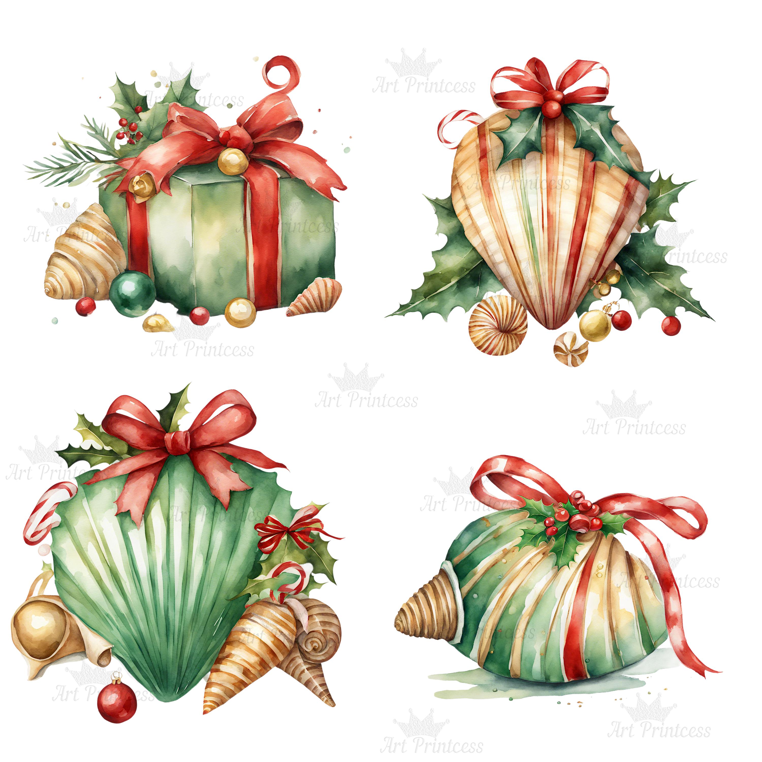 Coastal Christmas Seashells 35 Clipart PNG Watercolor Tropical Beach ...
