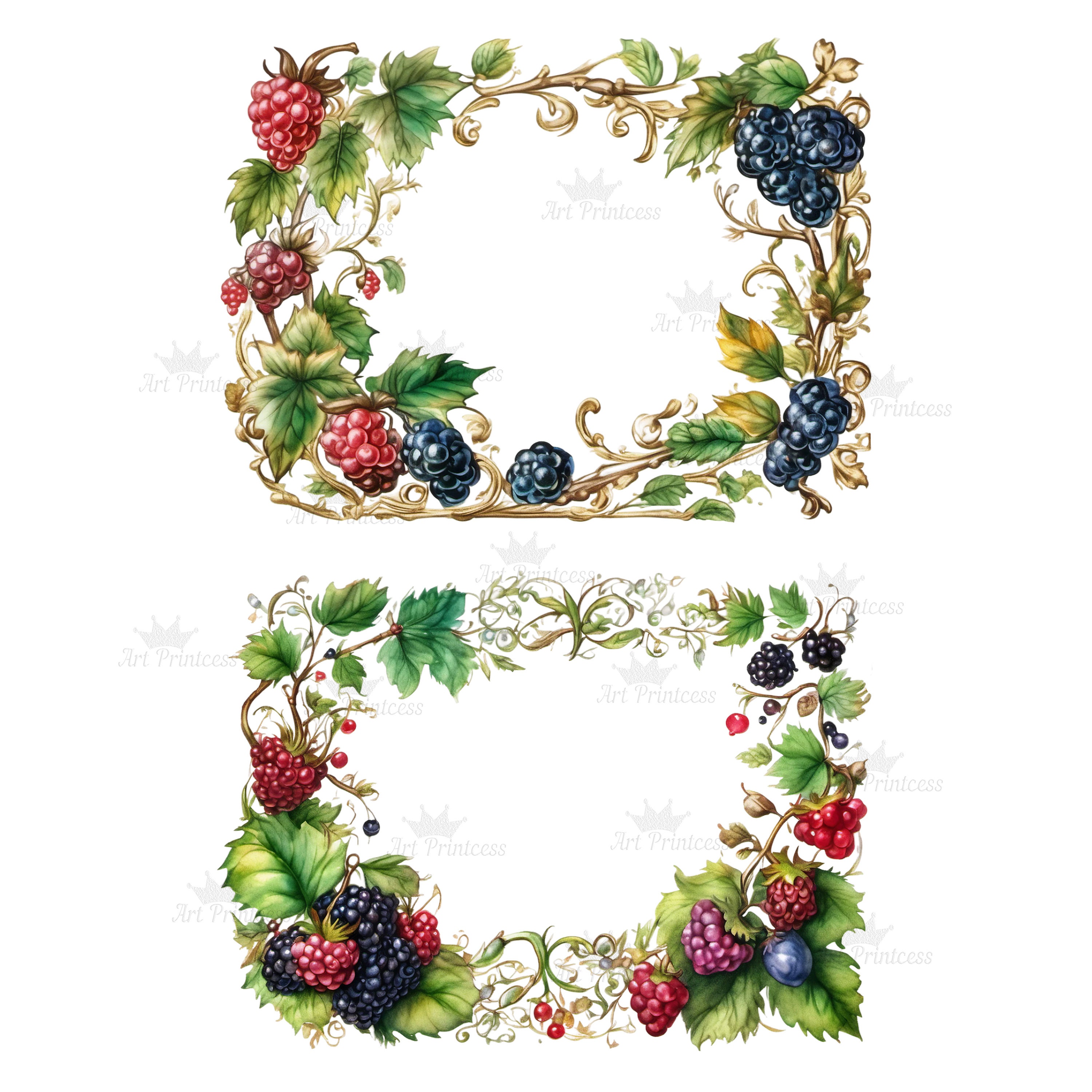 Forest Berries Fruits Border Vintage Frame Clipart PNG Woodland Berry ...