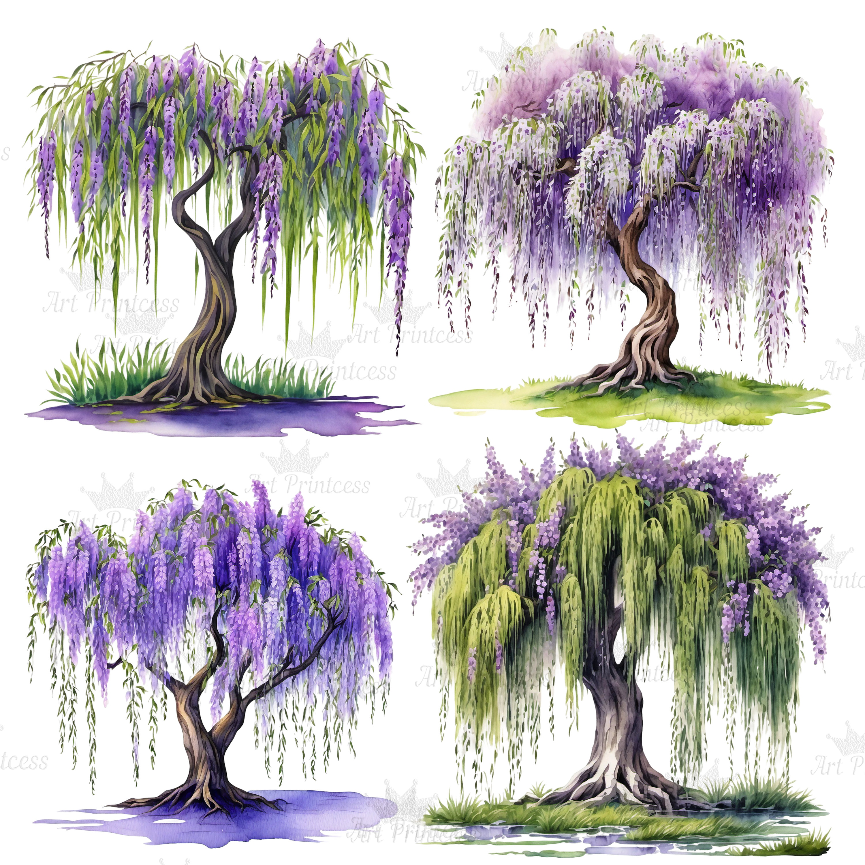 Colorful Weeping Willow Tree Clipart Bundle PNG Willow Anniversary ...