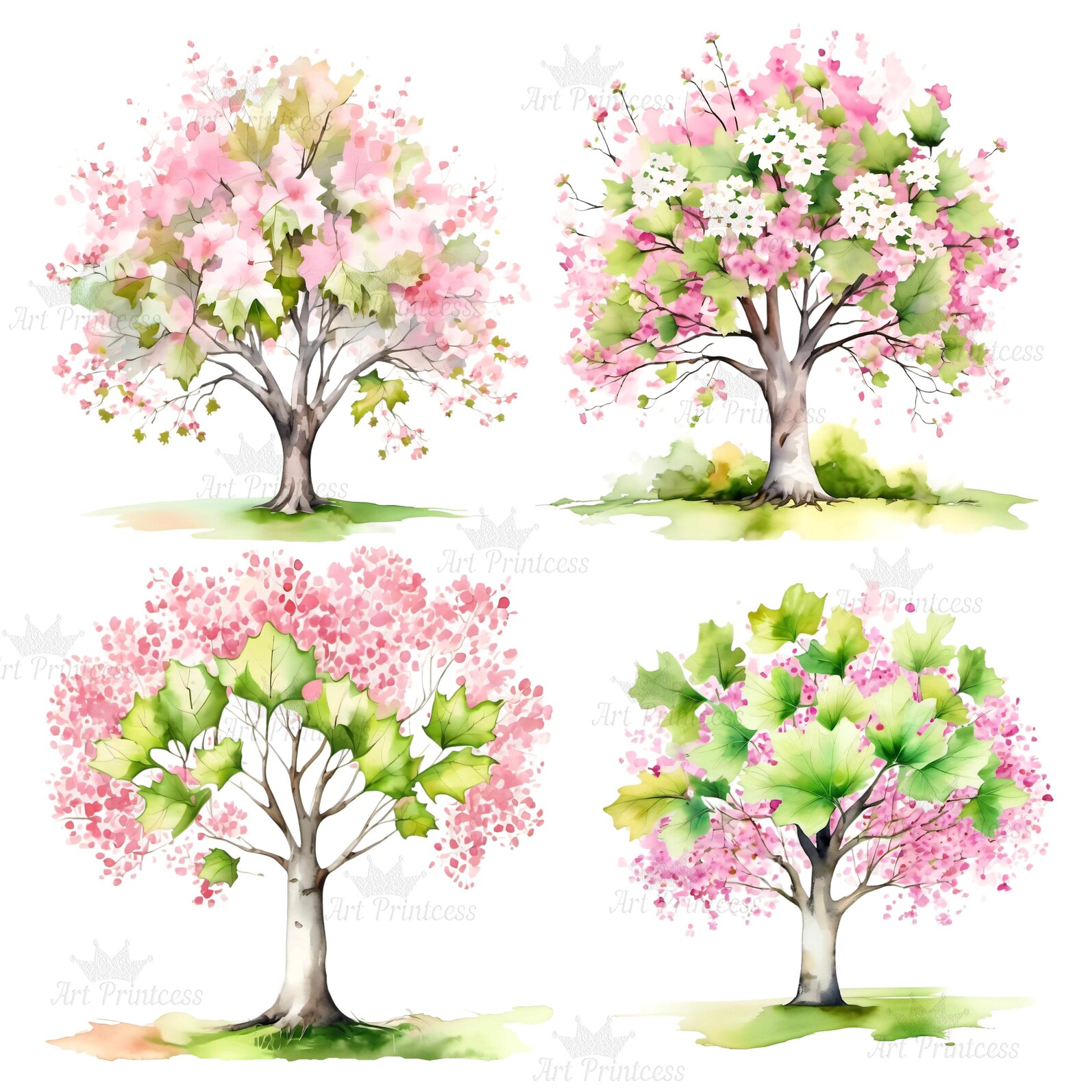 Sycamore Tree Watercolor 4 Seasons Clipart 36 PNG Sycamore Tree ...
