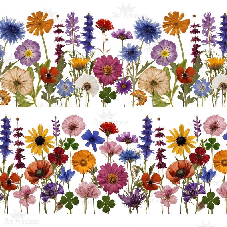 Pressed Wildflowers Border PNG Clipart Digital Clipart Floral ...