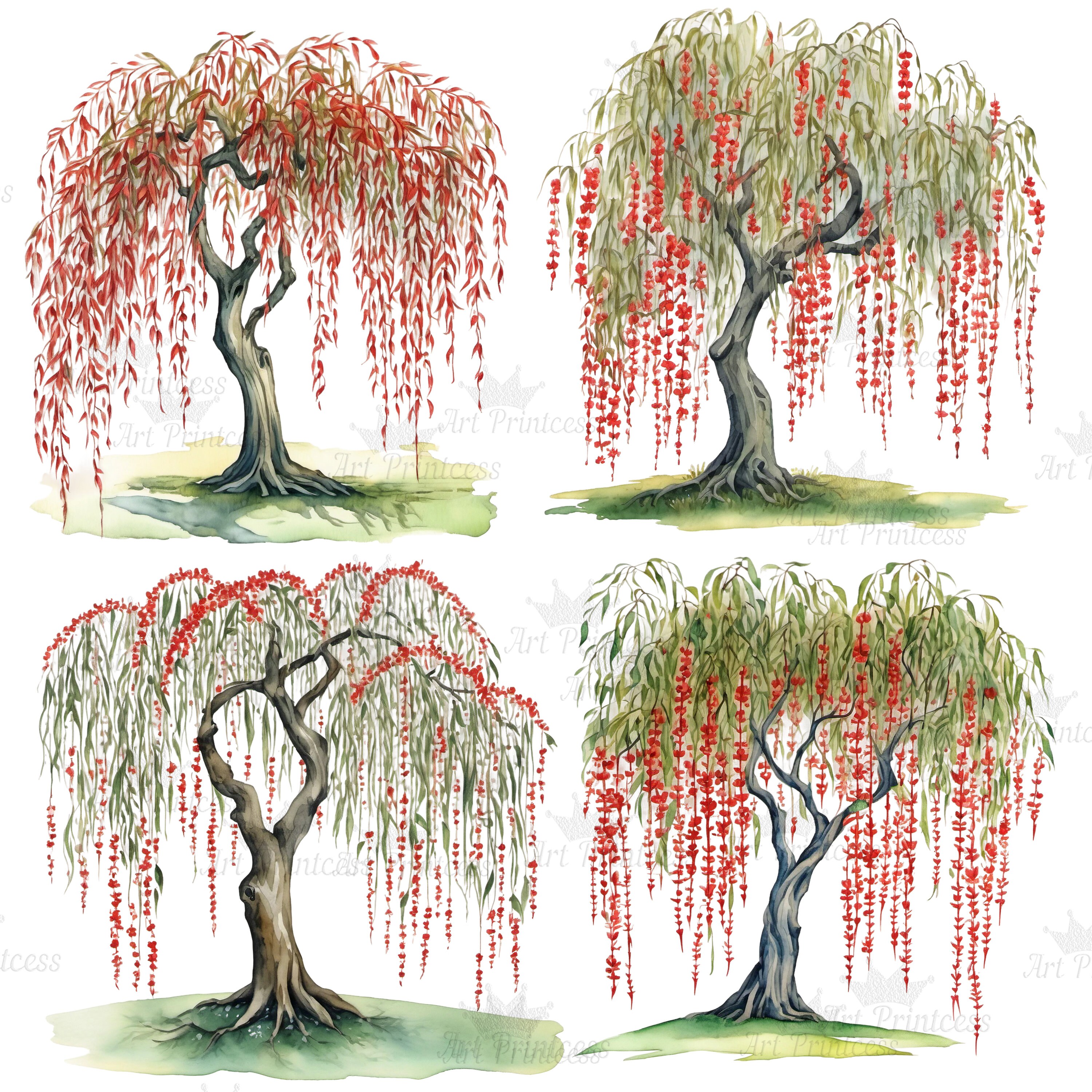Colorful Weeping Willow Tree Clipart Bundle PNG Willow Anniversary ...