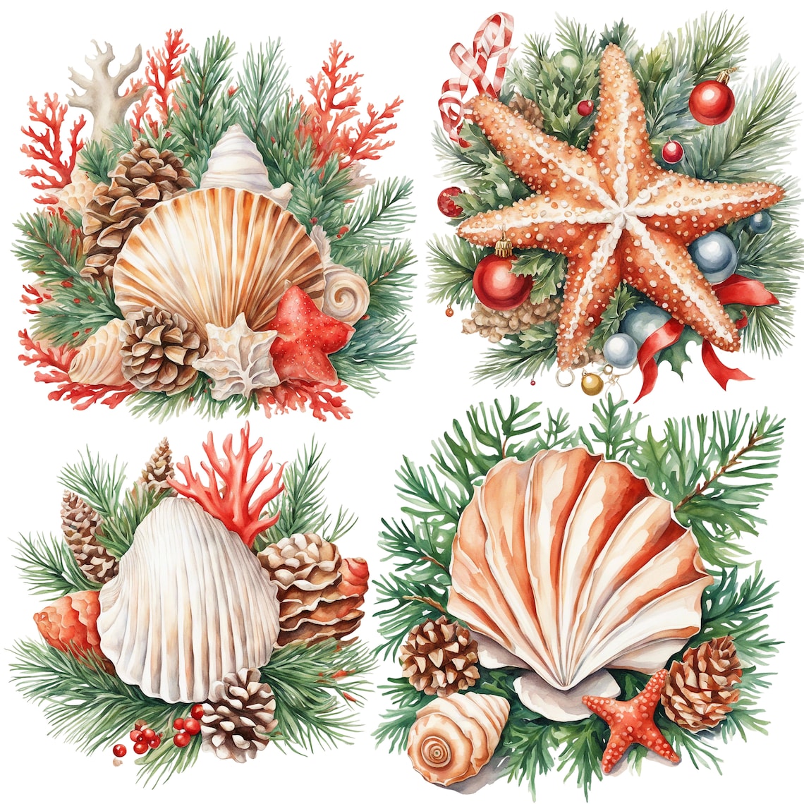Coastal Christmas Seashells 35 Clipart PNG Watercolor Tropical Beach ...