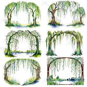 Weeping Willow Tree Border Frame Transparent Background Clipart Bundle ...