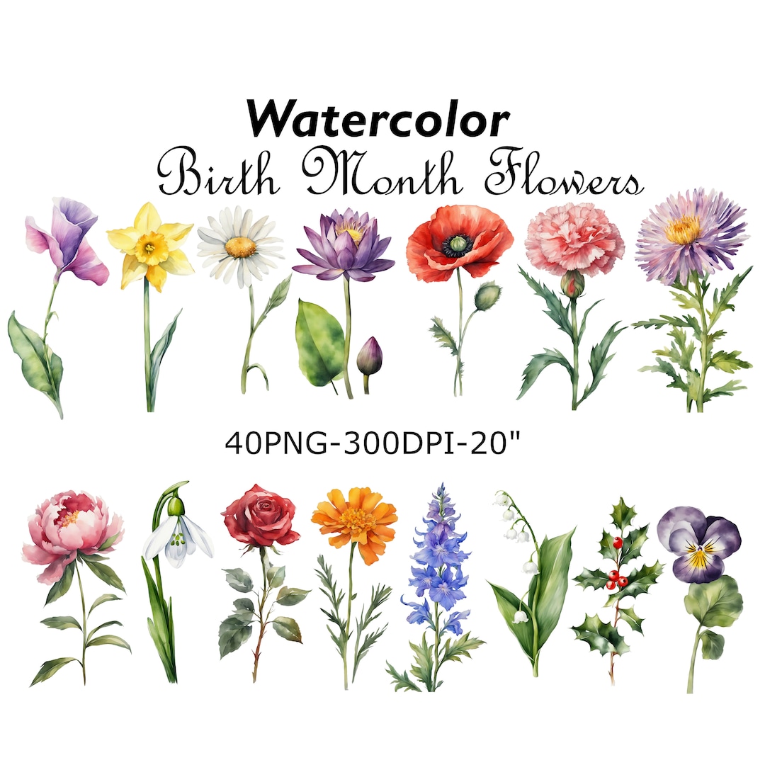 Watercolor Birth Month Flower Clipart Birth Month Flower Art - Etsy